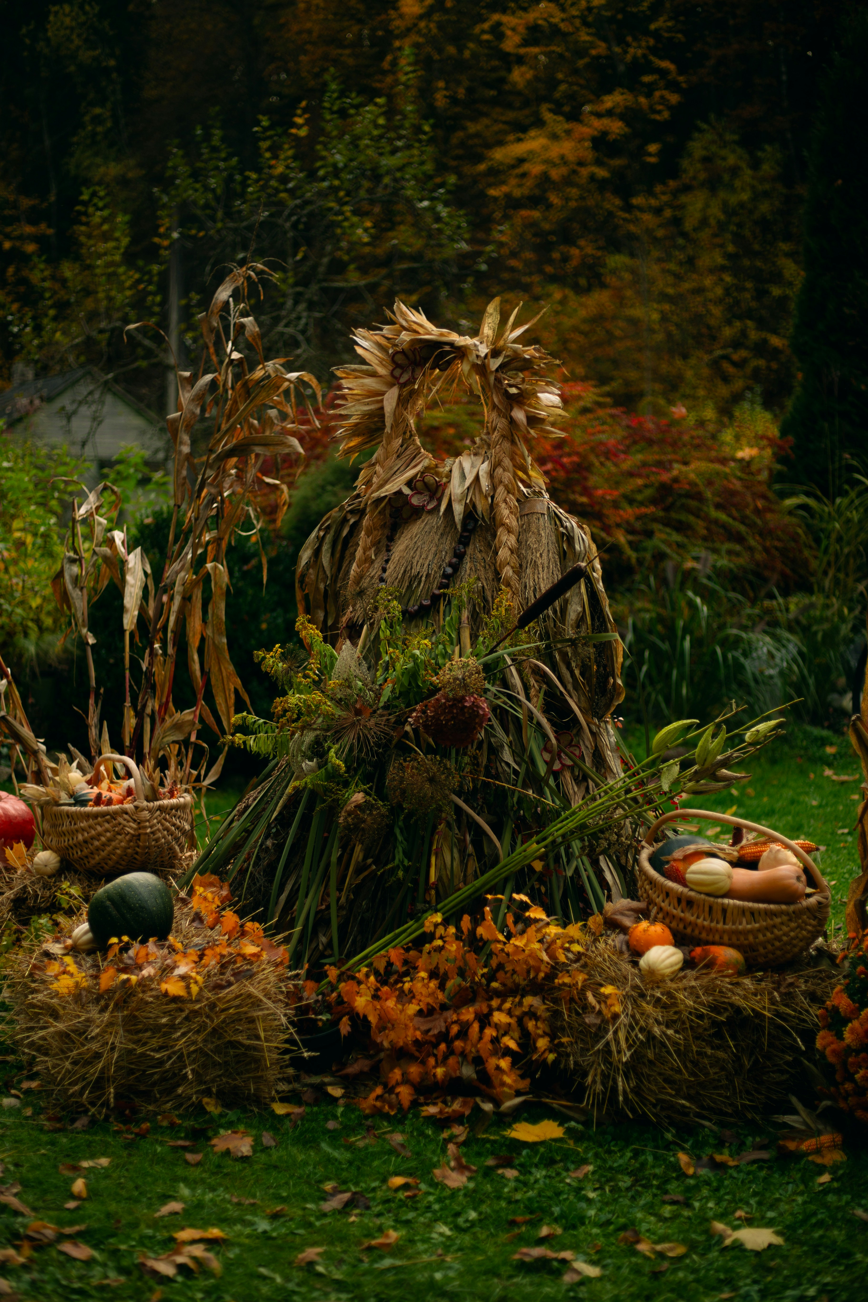Cornstalk Crown: A Harvest Tableau in Evening Garden Light