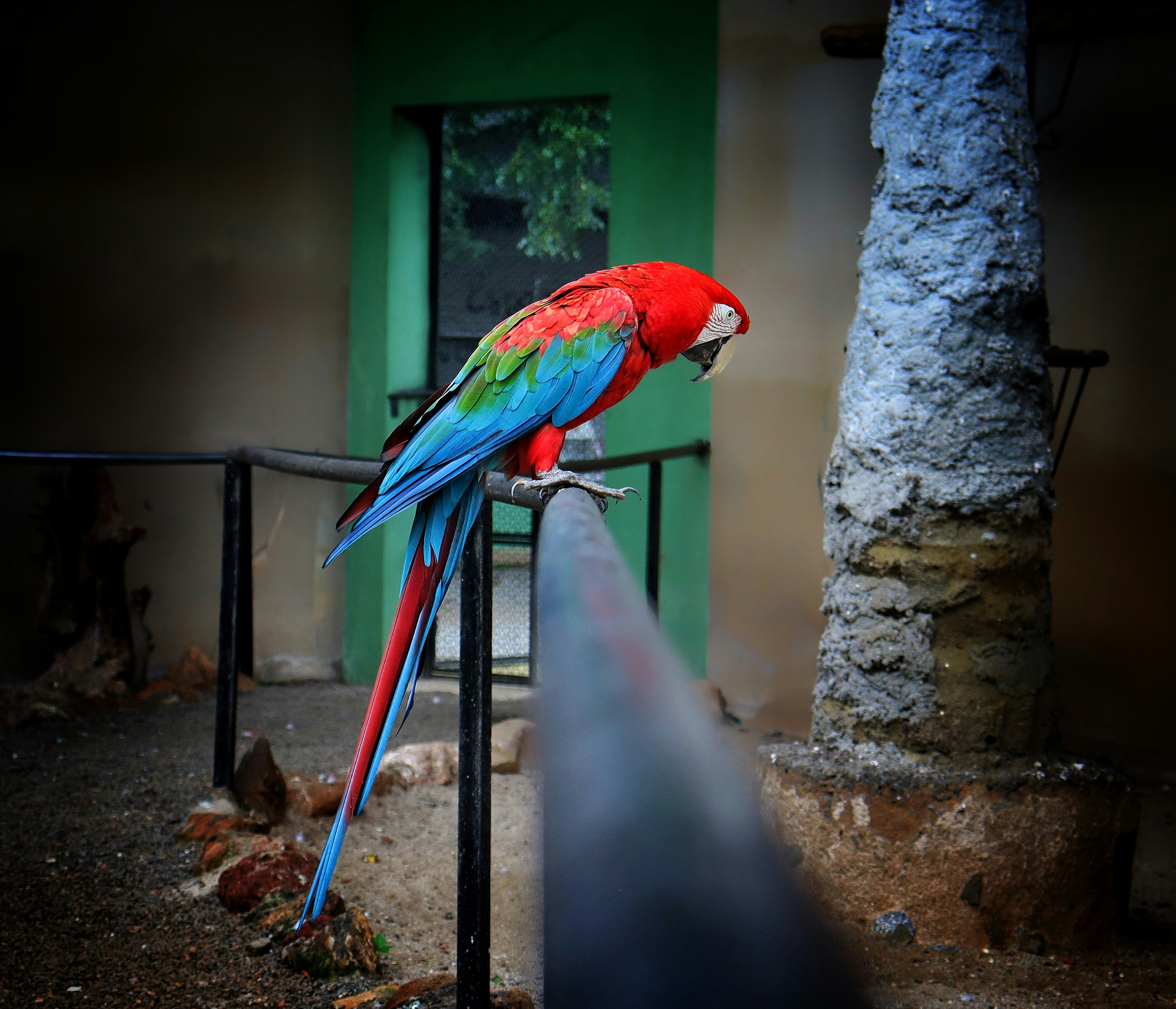 Photo by CAIO DELAROLLE with Canon EOS 250D