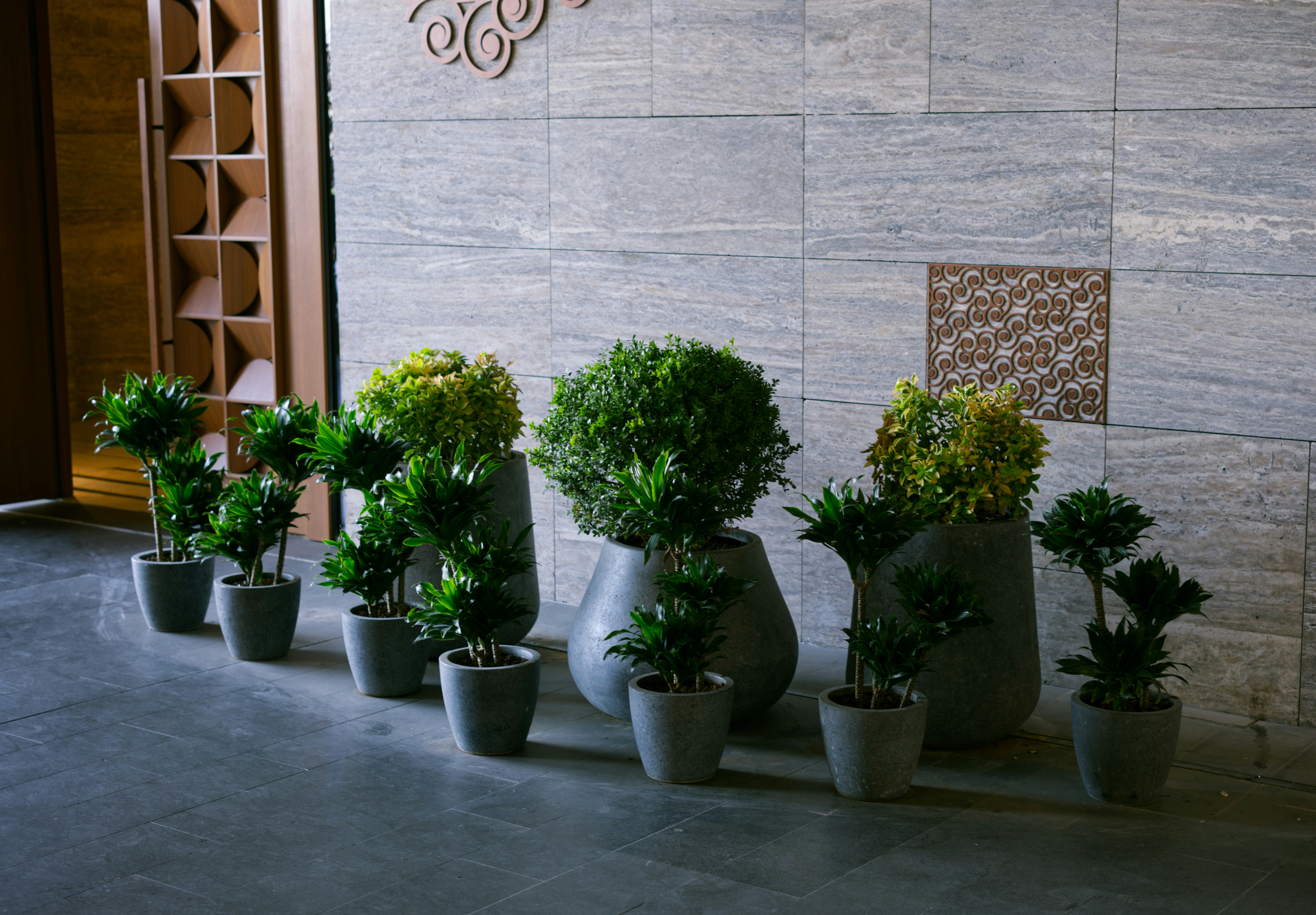 Photo by Ilker Ozmen with Fujifilm X-H2