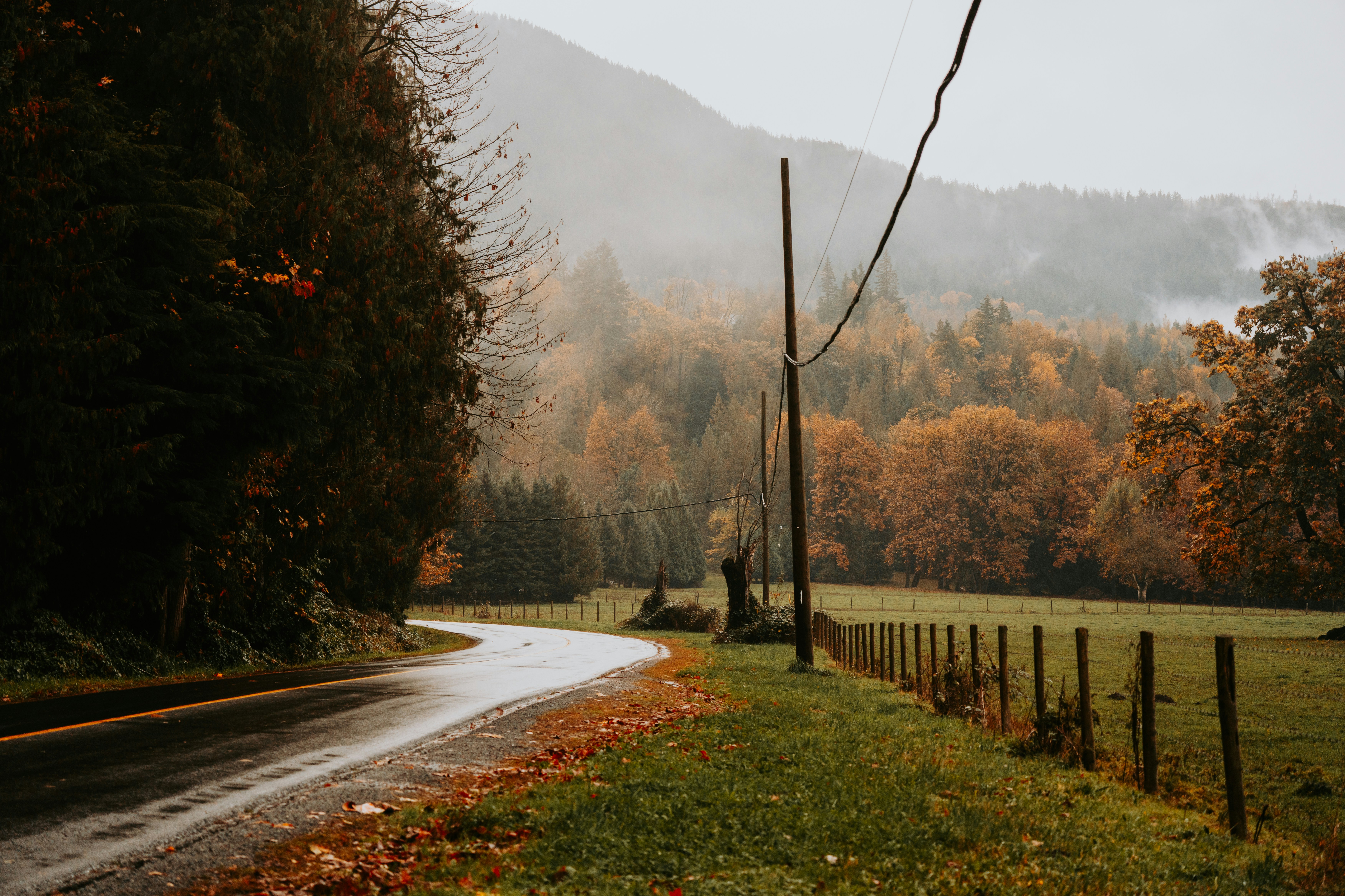 Veiled Harvest Road: A Winding Autumn Lane in Mist