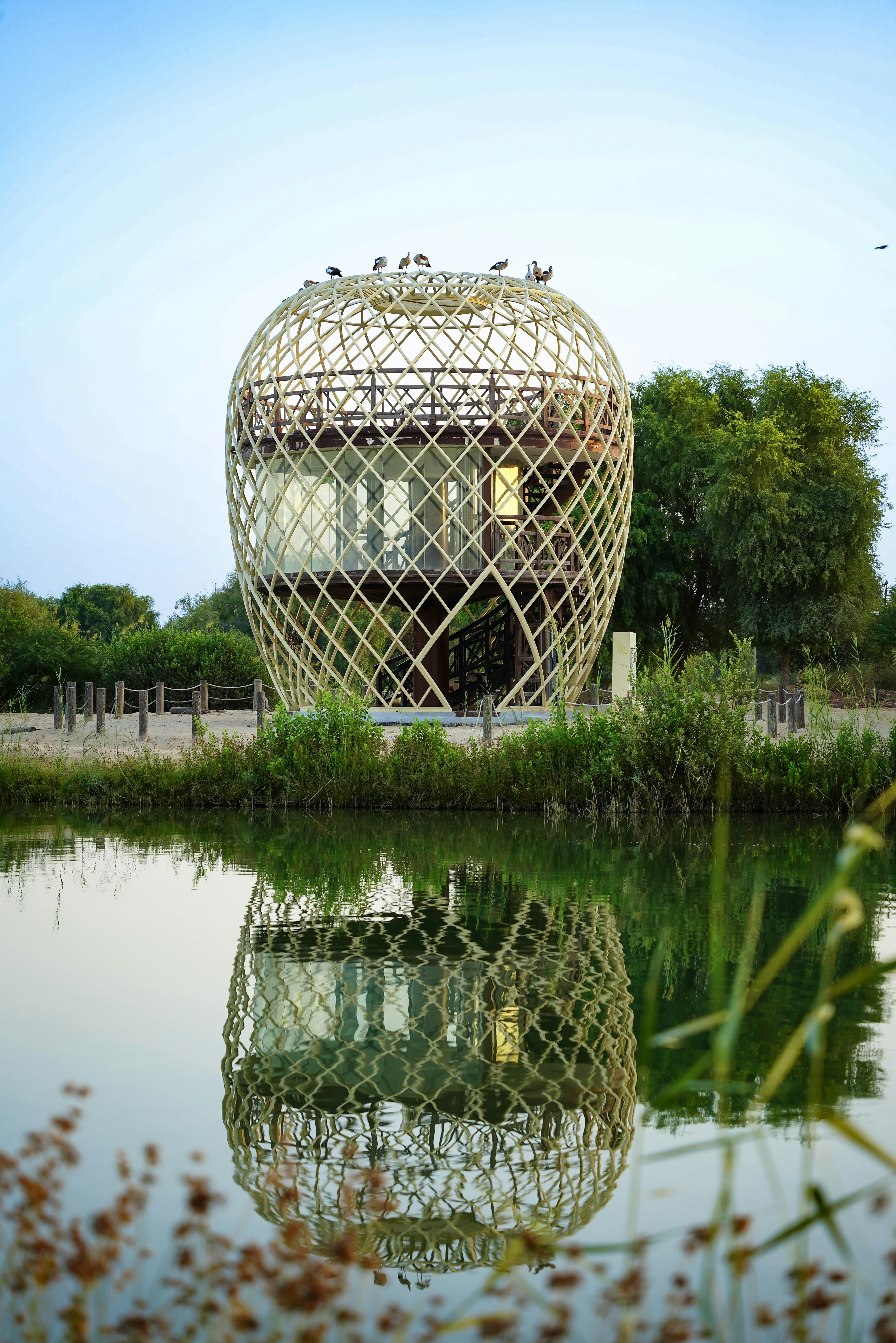 Lattice Lantern on the Pond: A Wooden Geodesic Dome and Its Mirror