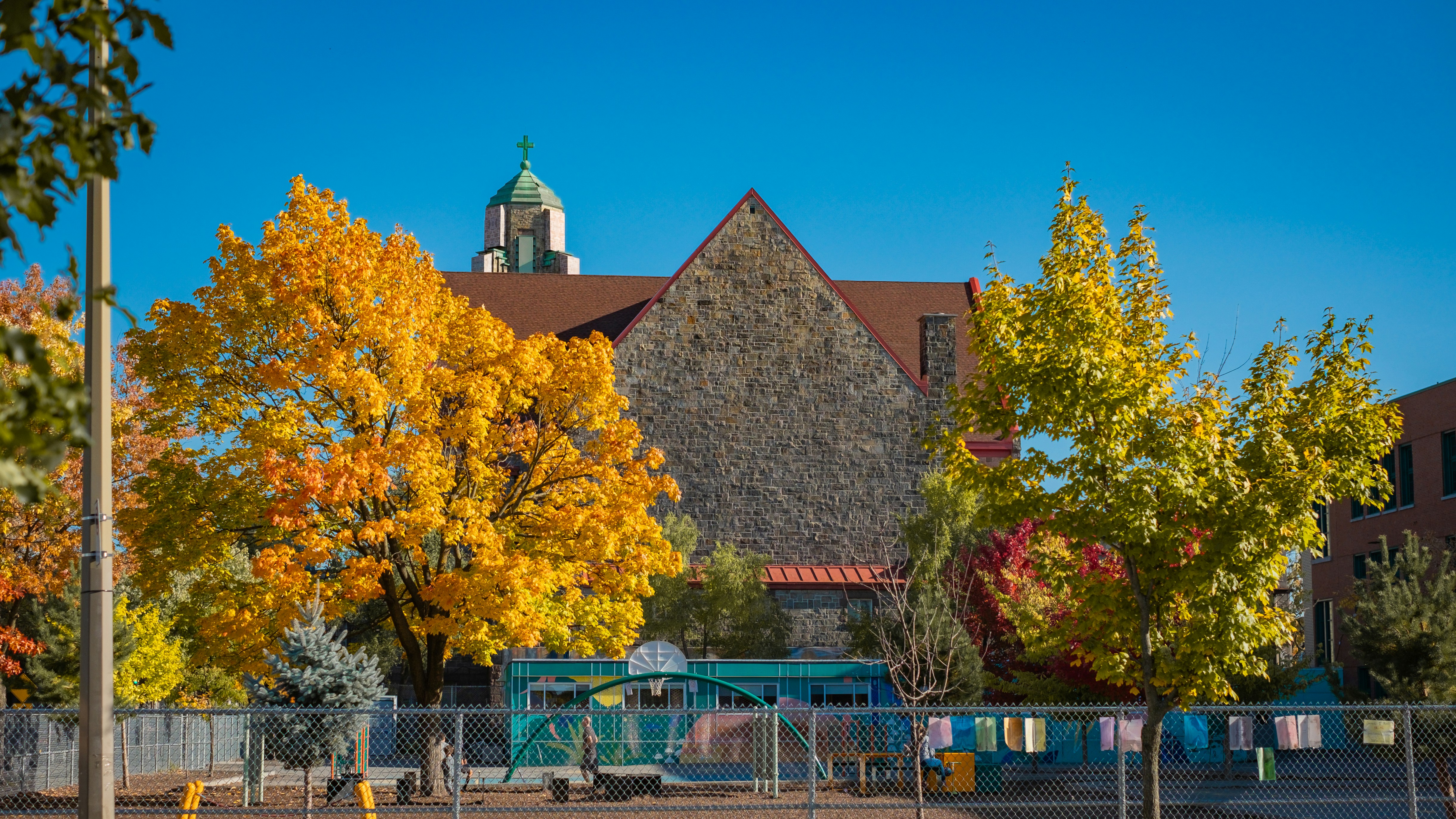 Autumn-draped Campus Facade Framed by Golden Canopies