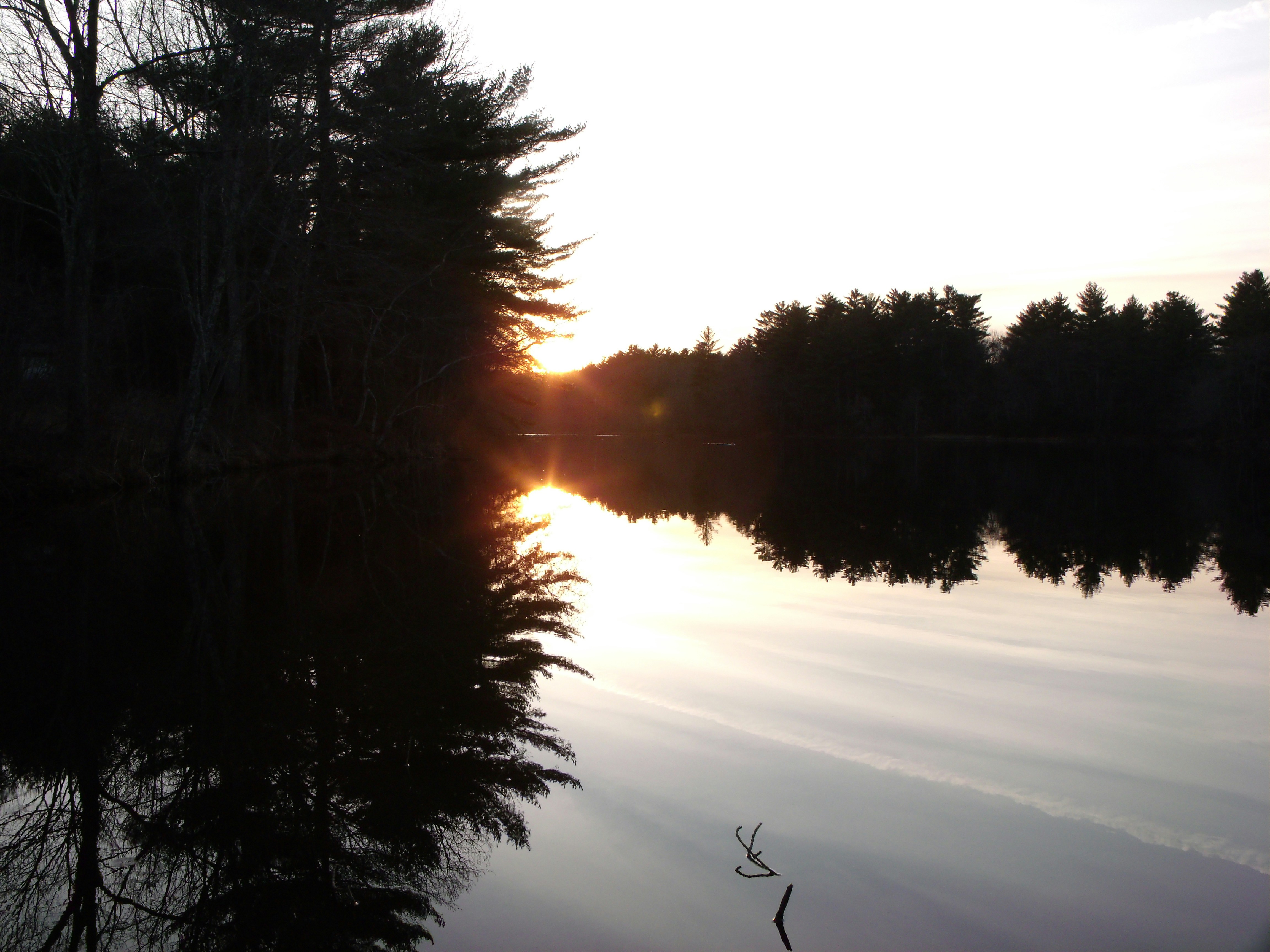 Reflected Dusk: Silhouettes and Waterglass in a Quiet Lake