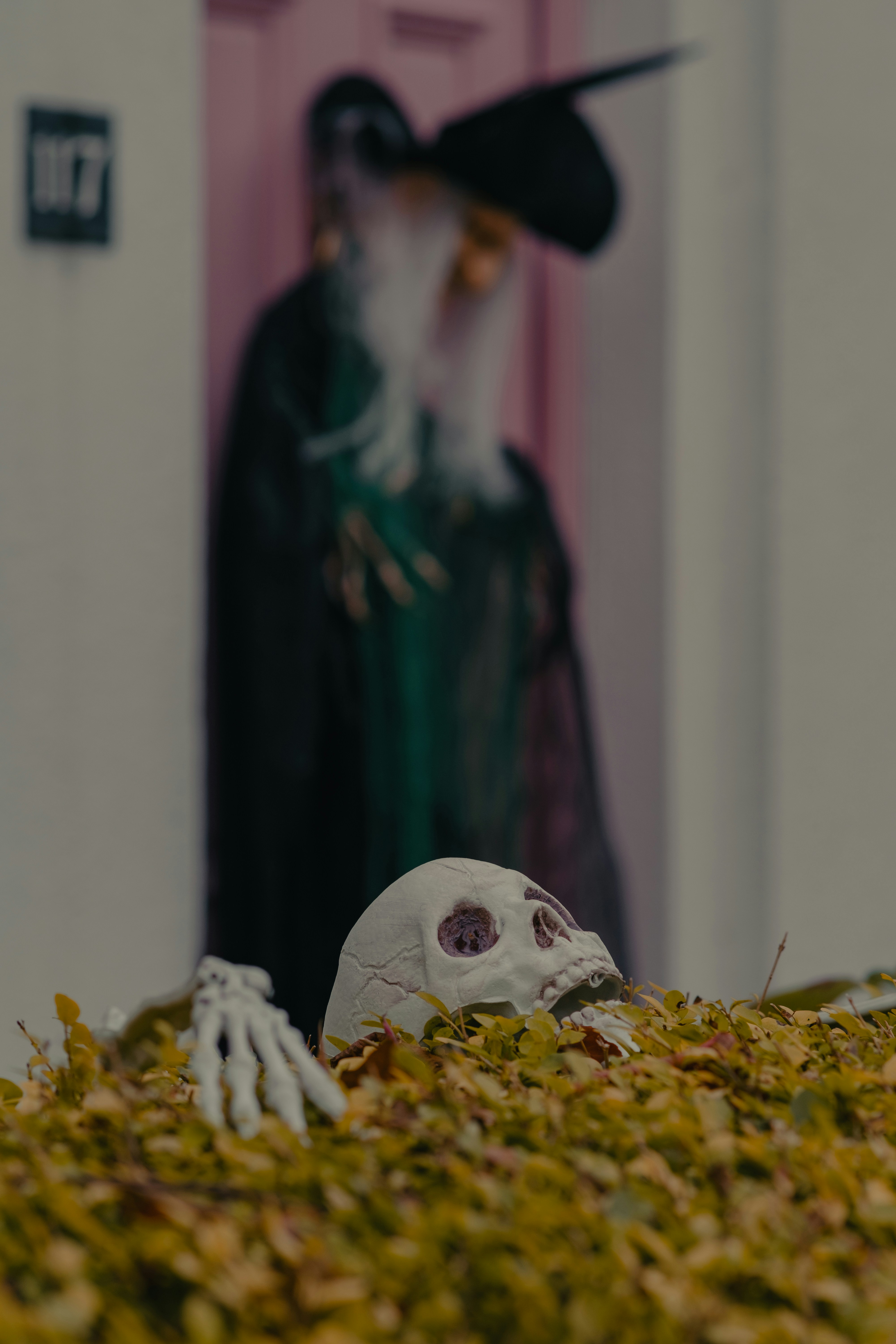 A fake skeleton in front of a door photo – Free Horror Image on Unsplash