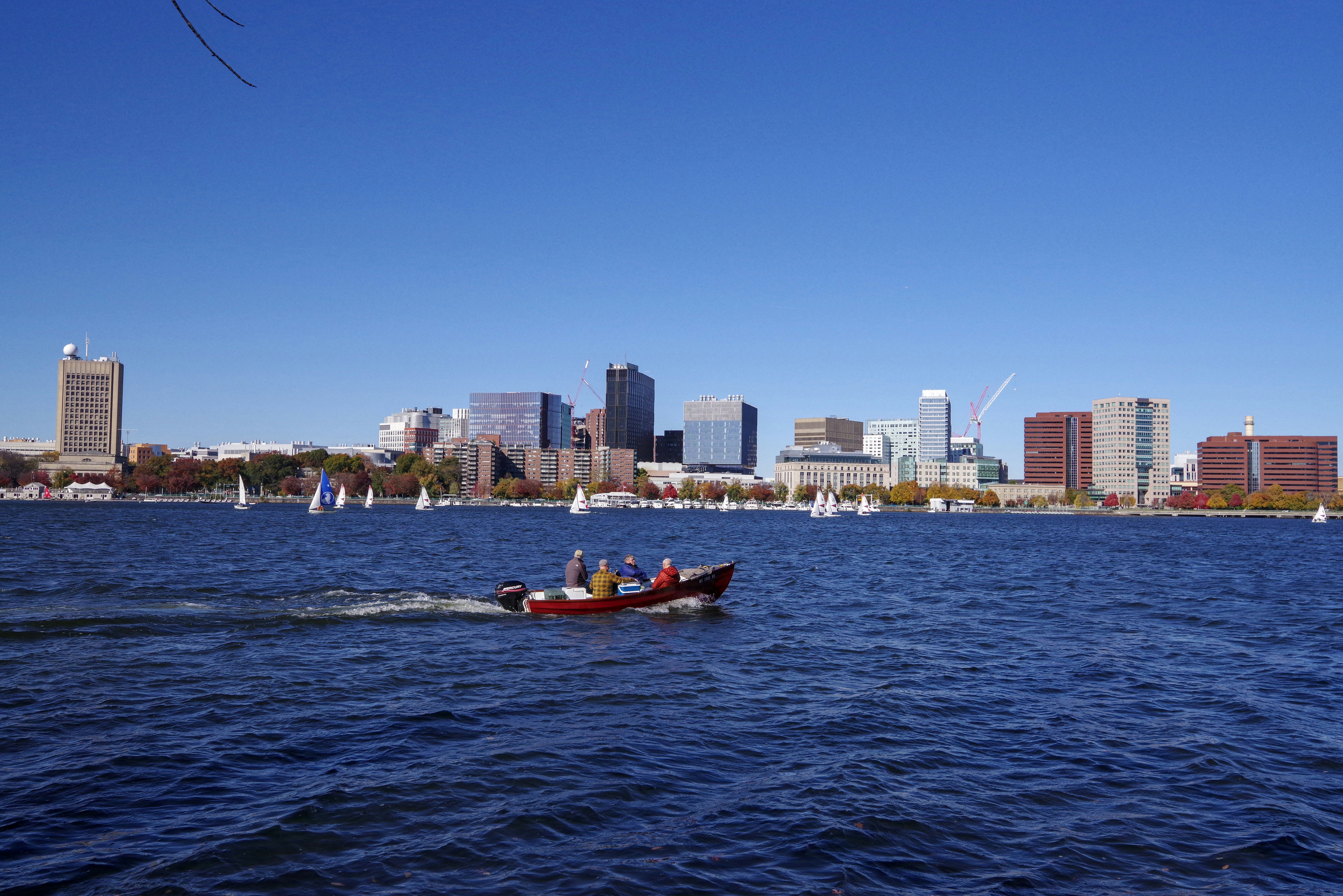 Urban Serenity: A Rowboat's Journey Across the Water