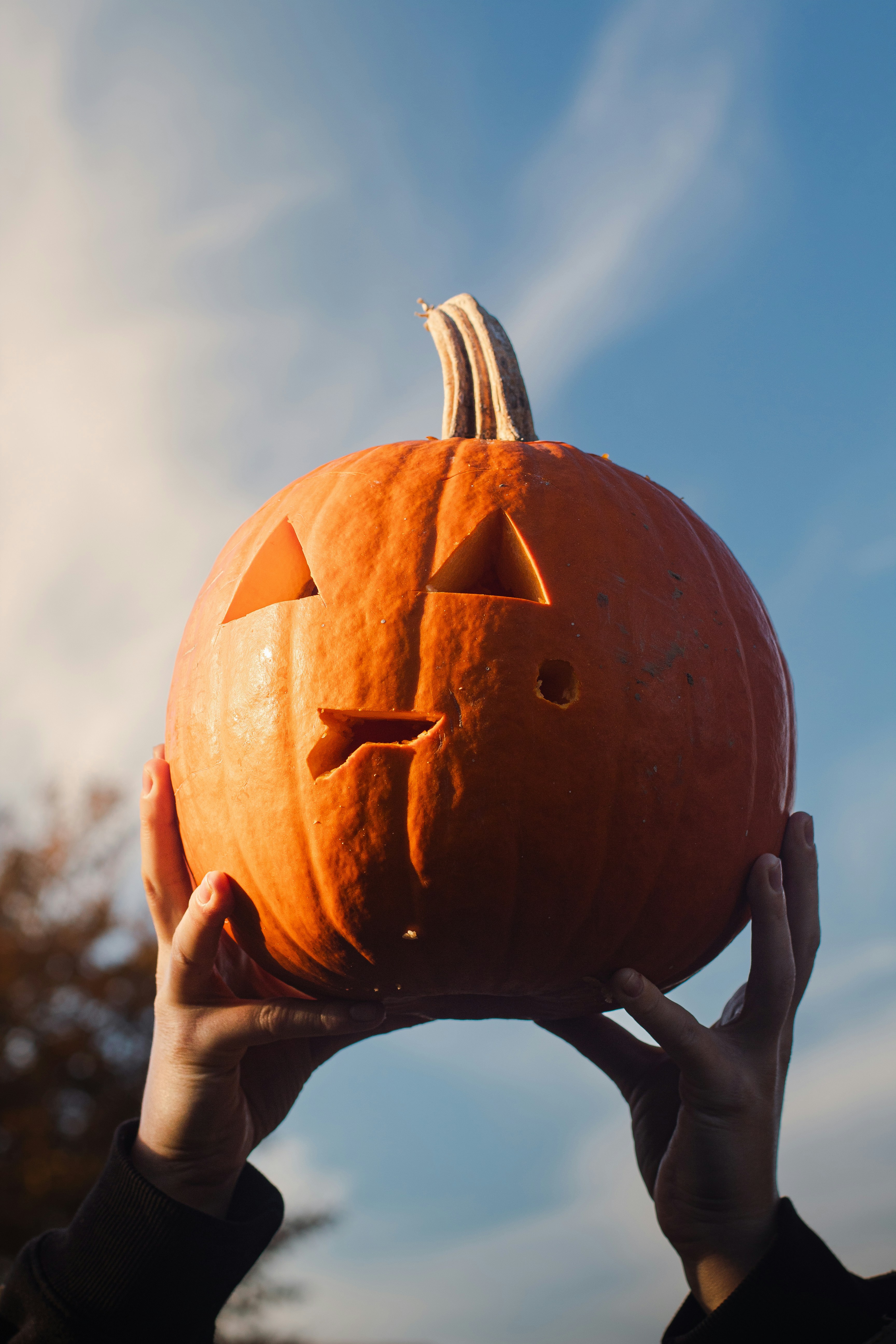 Aloft Pumpkin: A Carved Lantern Reaches Toward an Open Sky