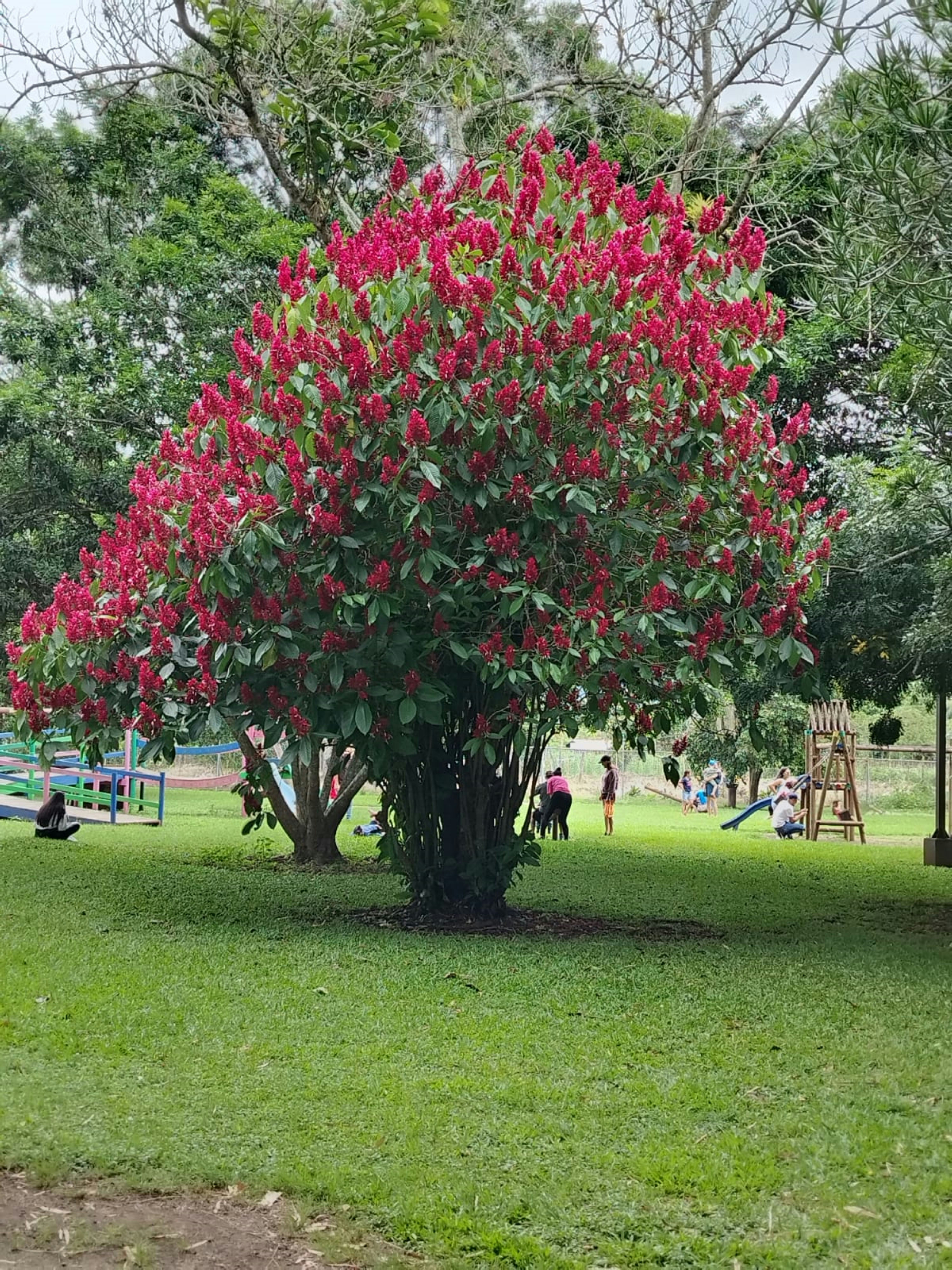 Yamileth Juarez (@kazana_12) | Komunitas Foto Unsplash