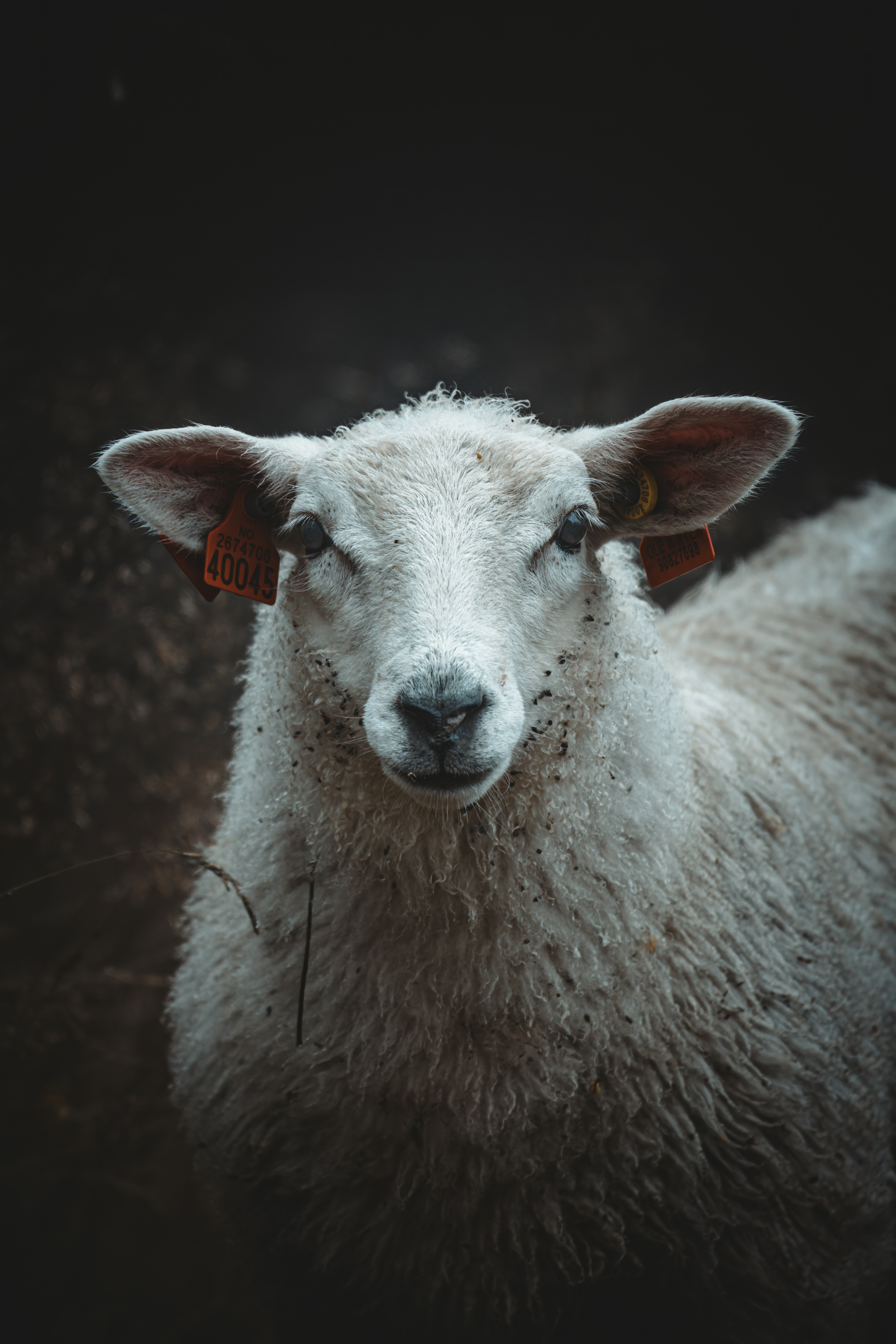 Kjell-Jostein Sivertsen (@kjelljostein) | Komunitas Foto Unsplash