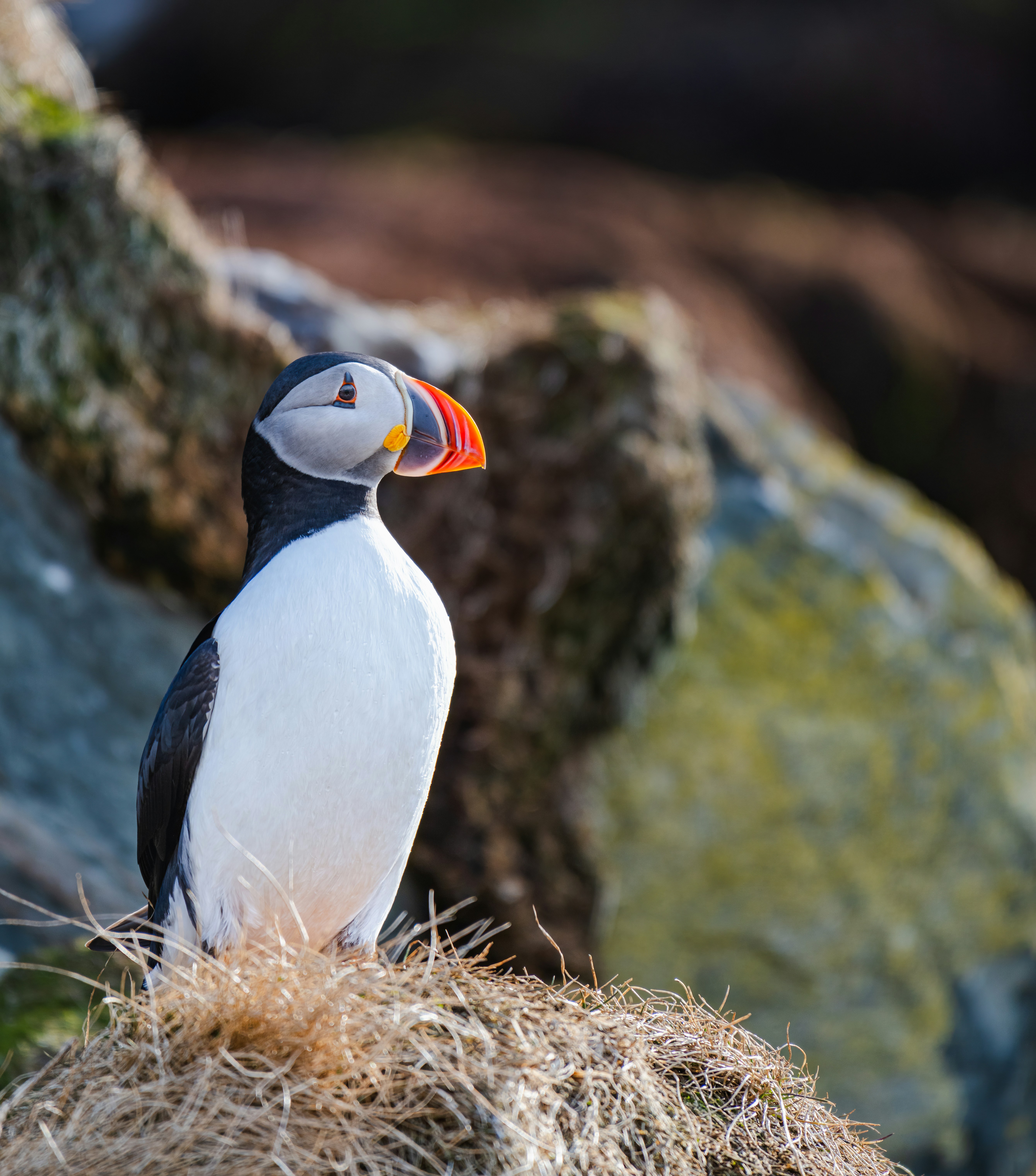 Kjell-Jostein Sivertsen (@kjelljostein) | Komunitas Foto Unsplash