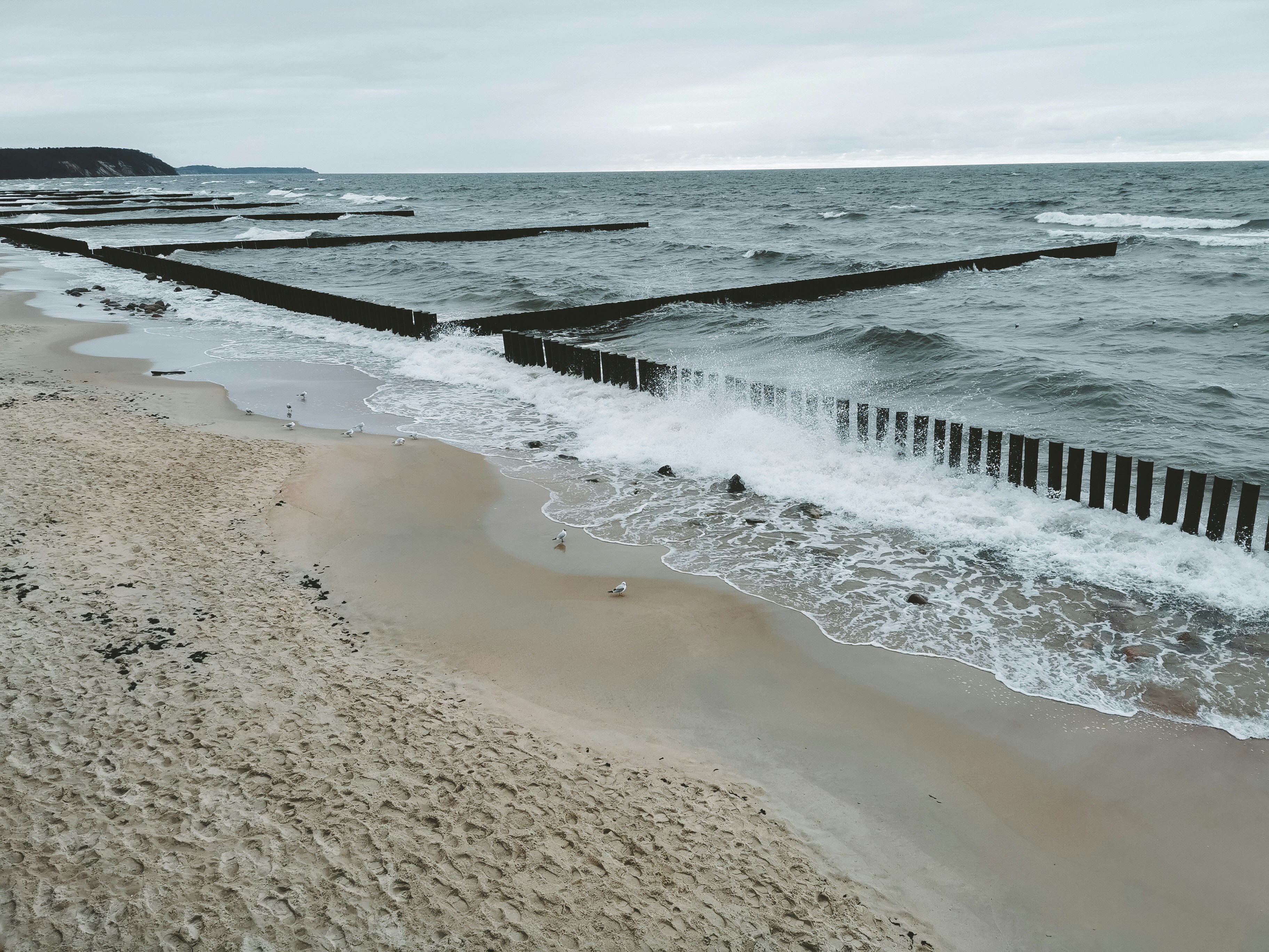 Whispers of the Tides: A Coastal Reflection