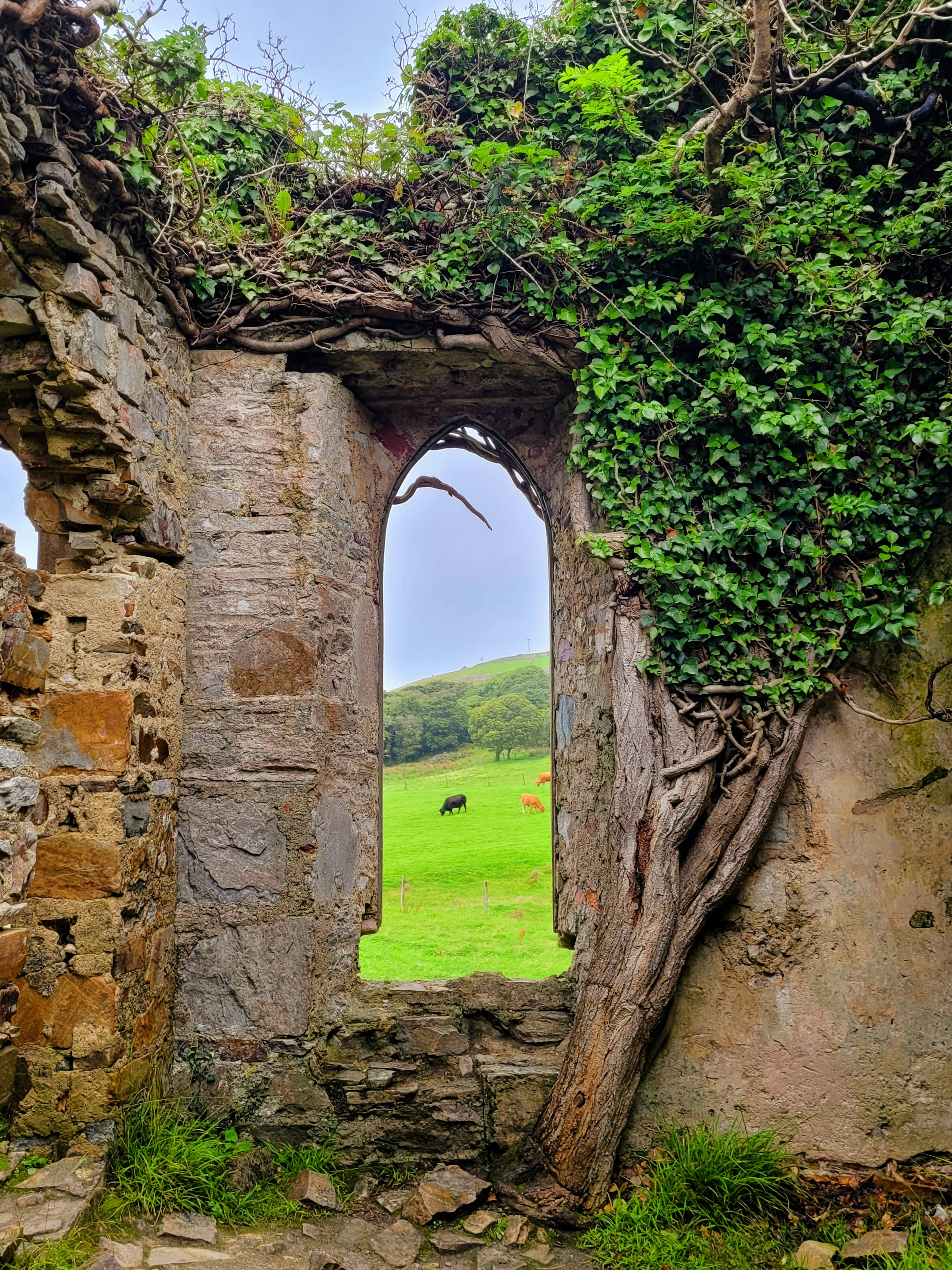 Photo by Melissa De Yoe with Samsung Galaxy S20 FE