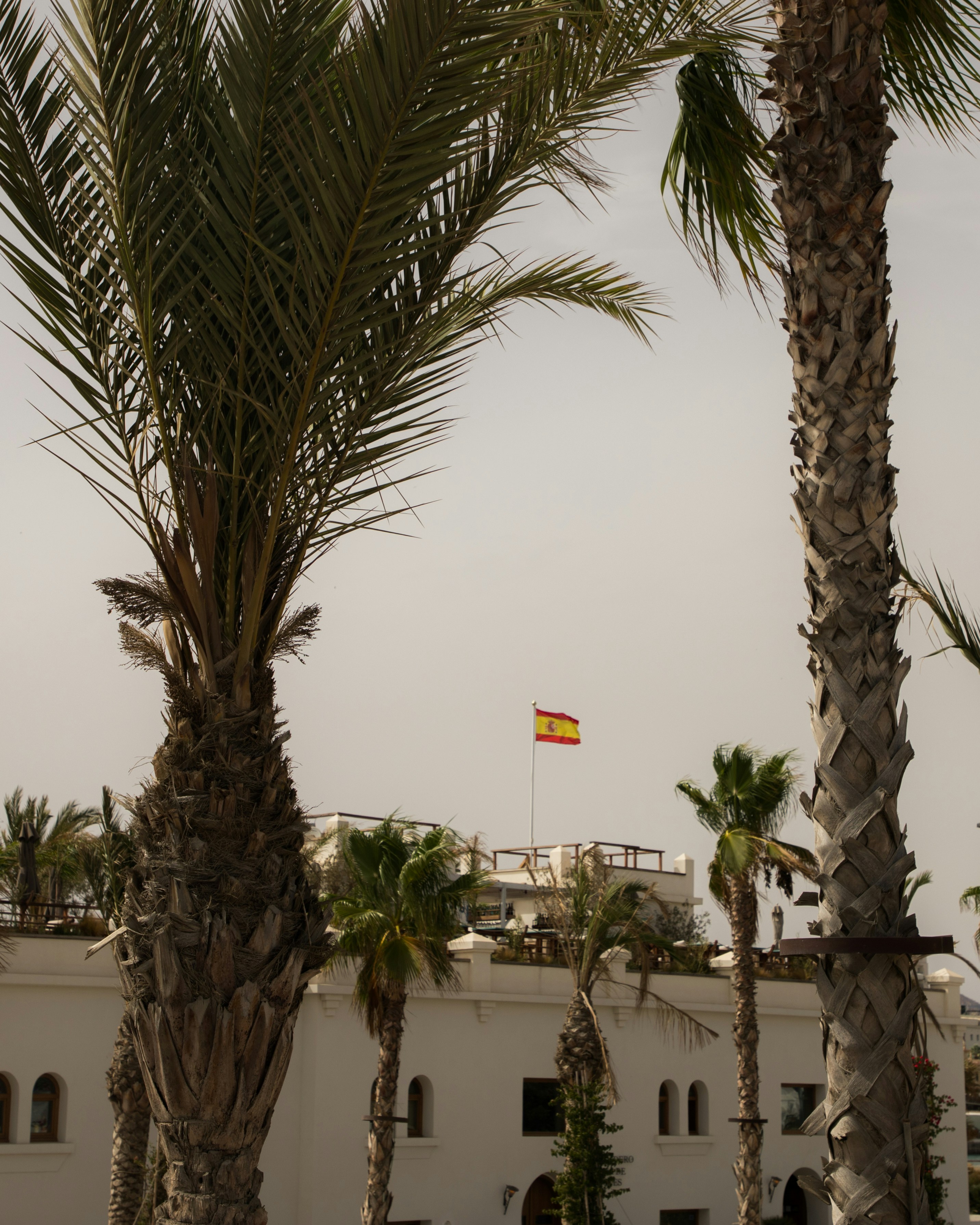 Spanish Flag Over a Sunlit White Courtyard Framed by Palms