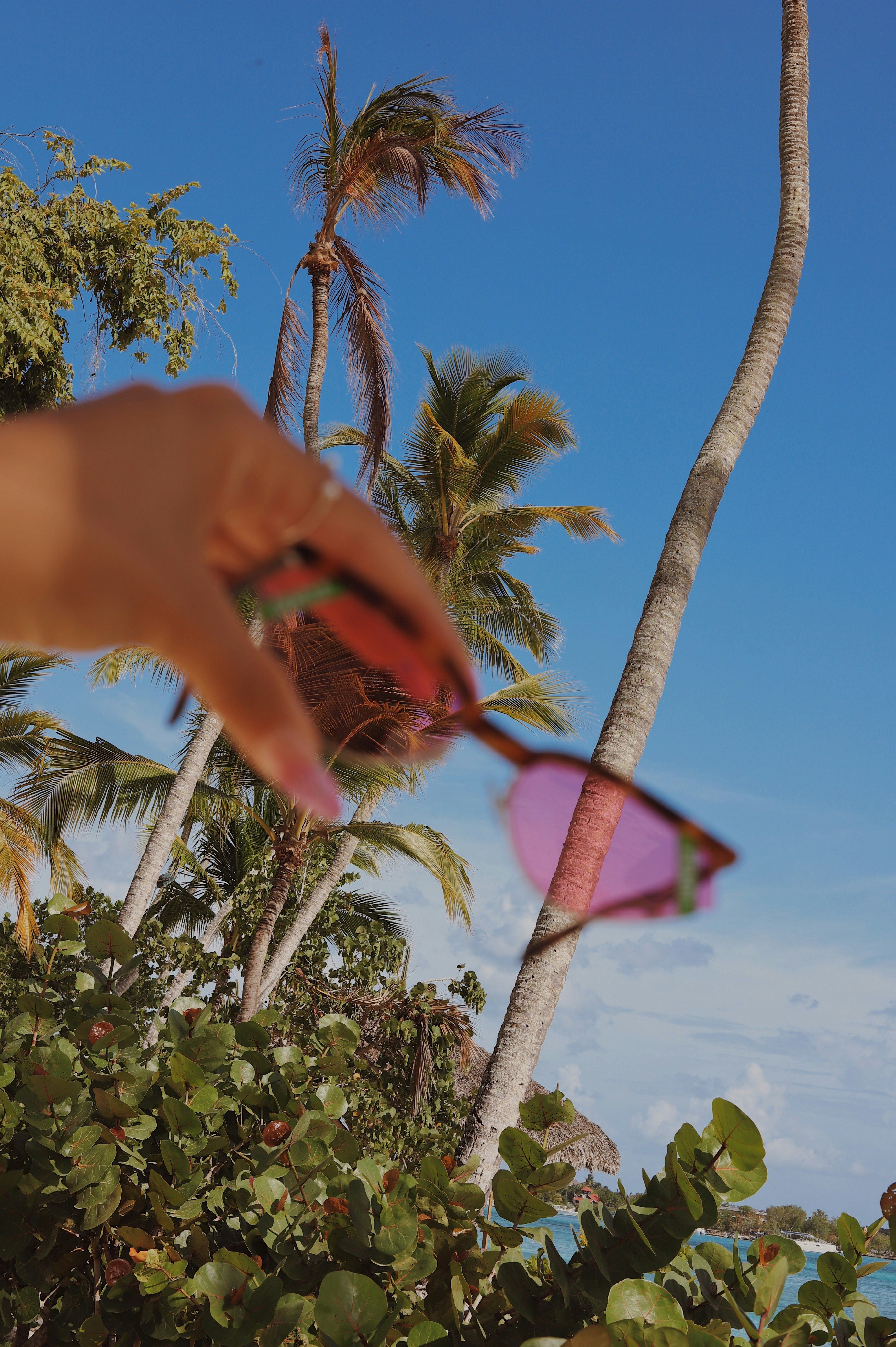 A person is flying a kite on the beach