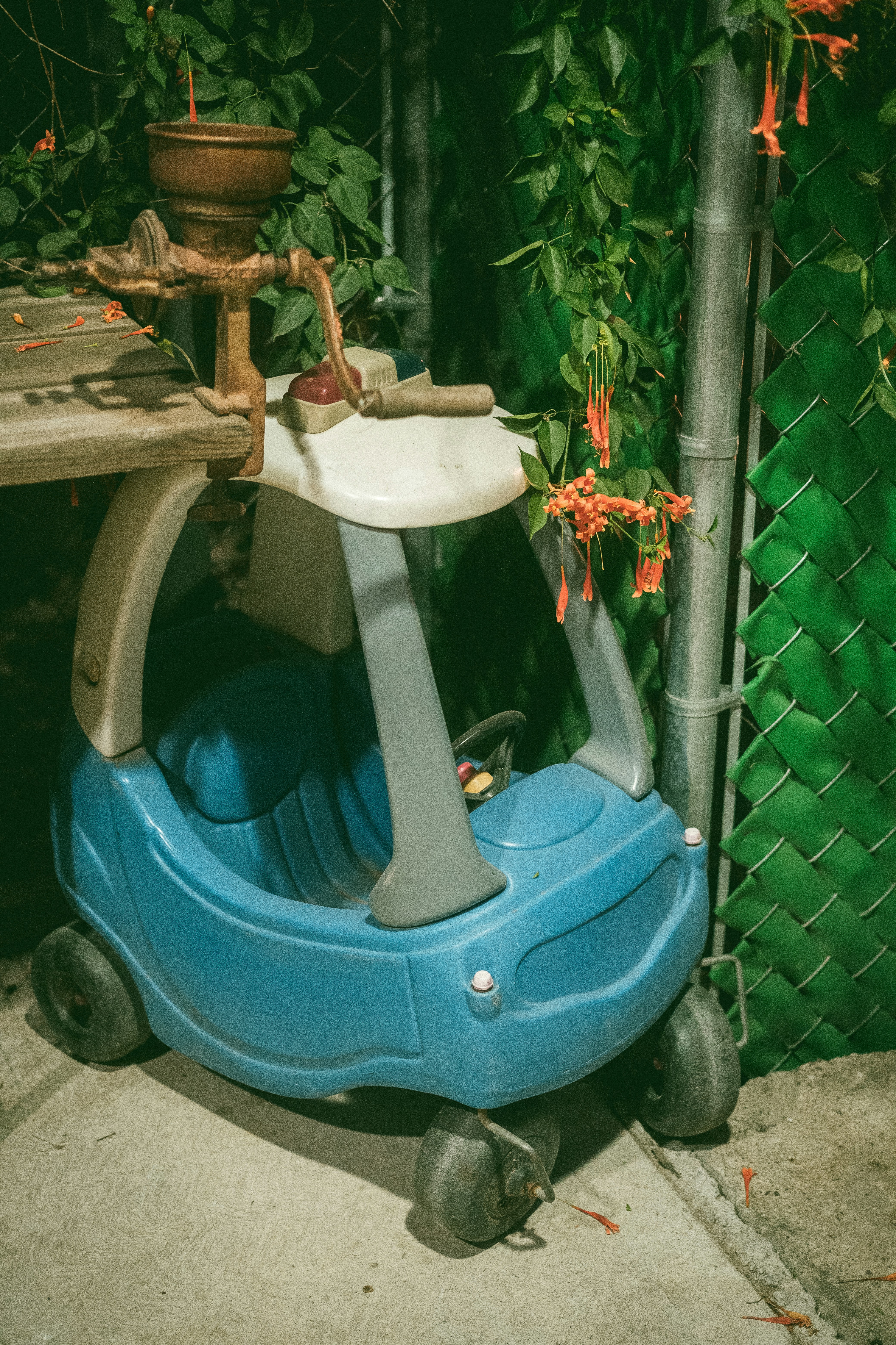 Blue Toddler Car Nestled by Ivy, Fence, and a Rusty Faucet