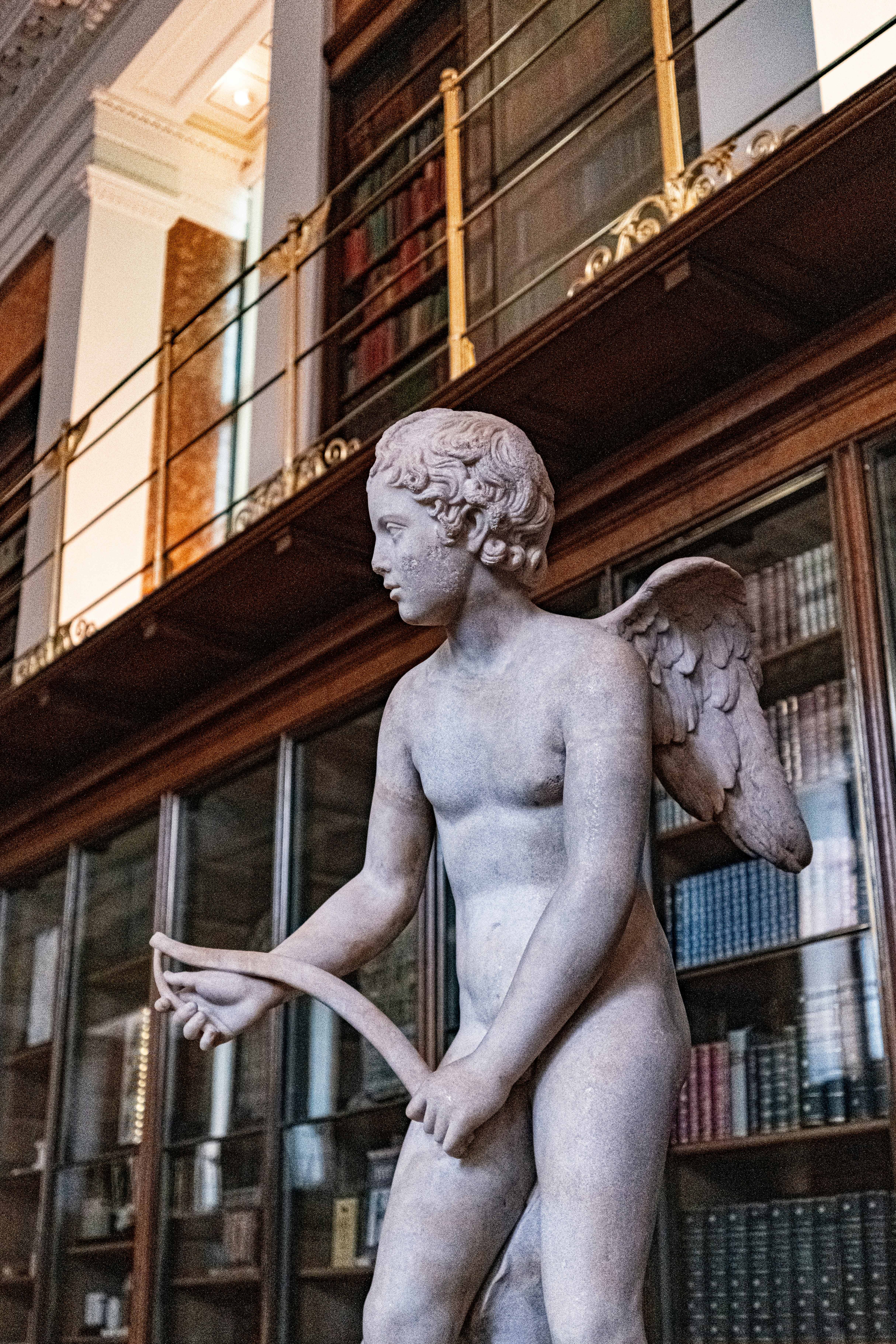 Marble Angel in the Library: A Quiet Flight Between Tomes