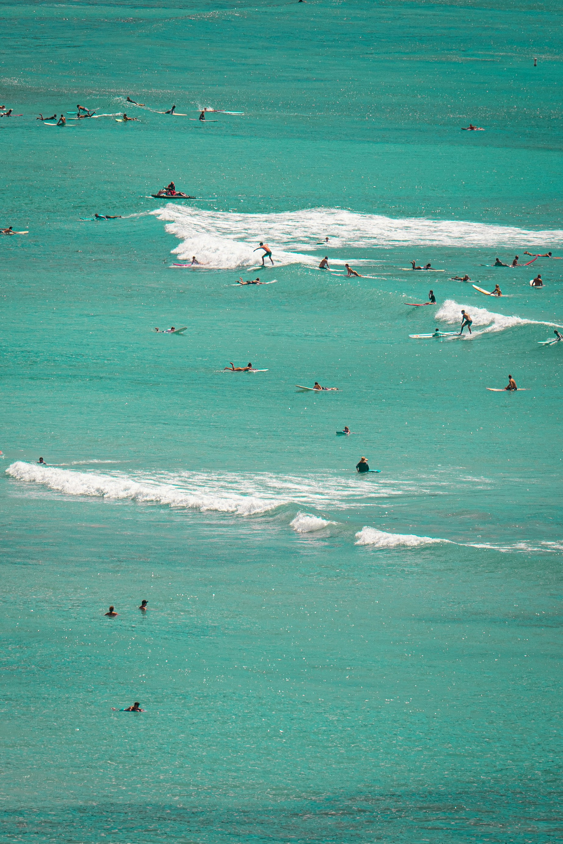 A group of people swimming in the ocean photo – Free Hawaii Image on ...