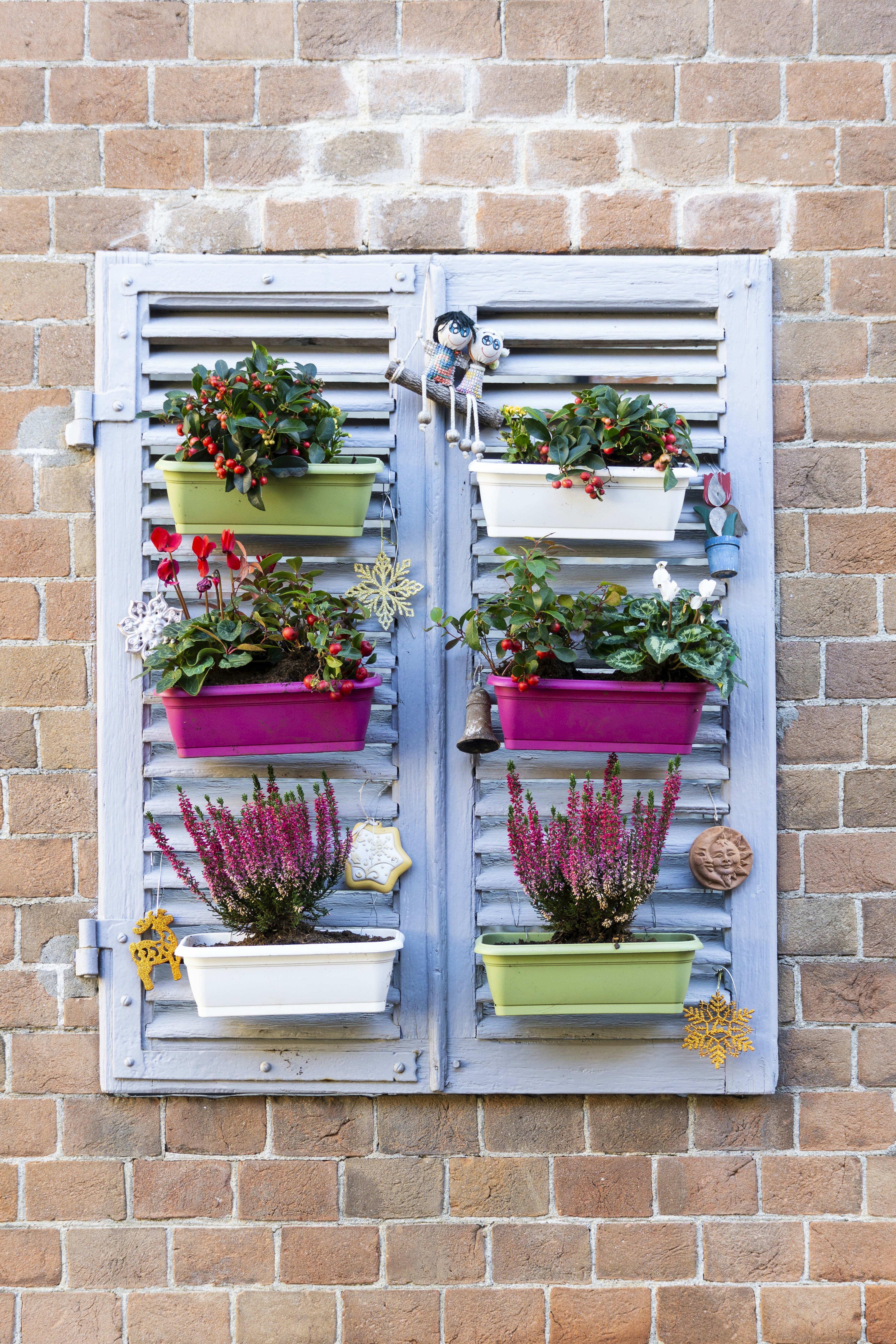 Floral Harmony on Rustic Shutters