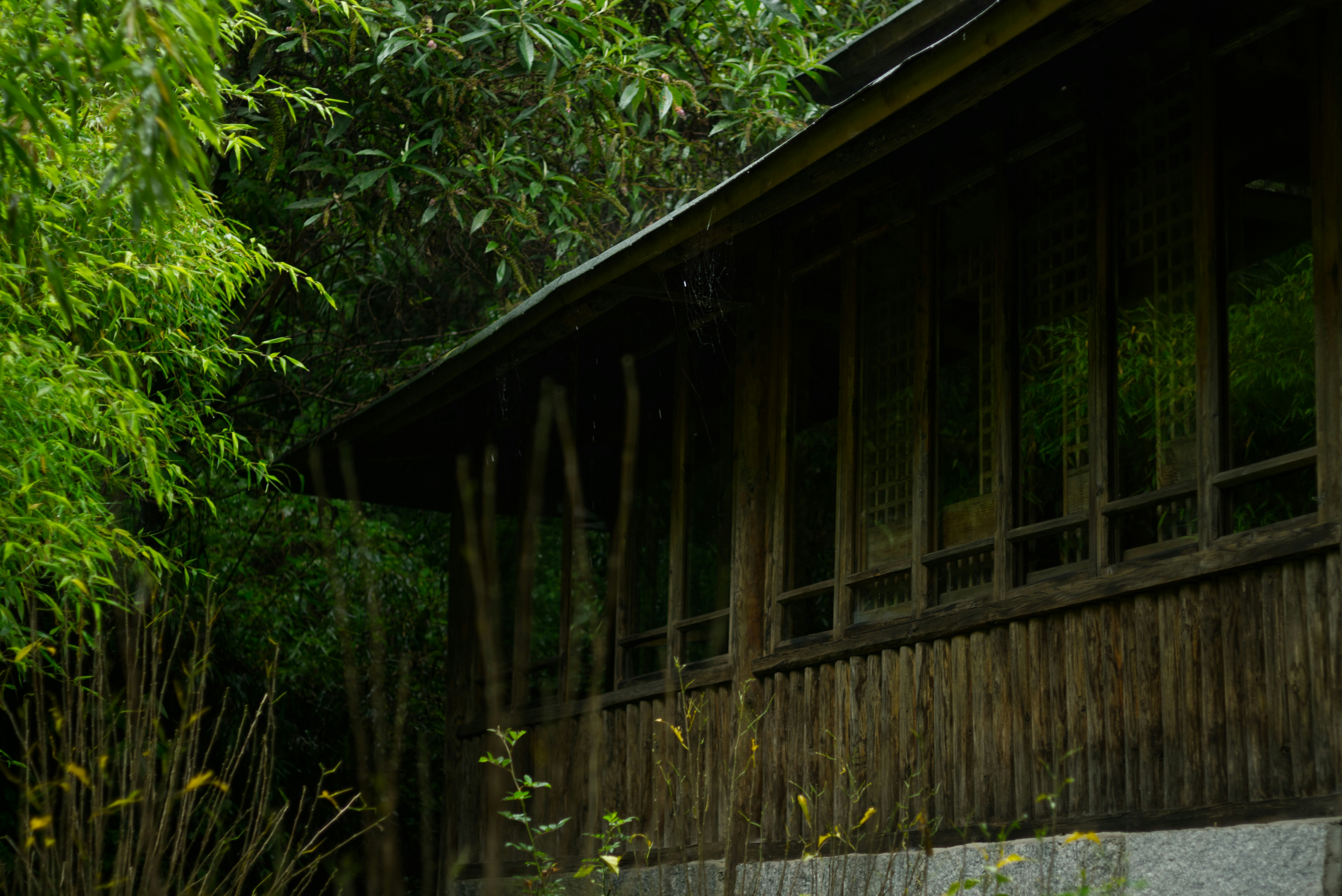Traditional wooden structure nestled among lush greenery, showcasing intricate craftsmanship and natural surroundings.
