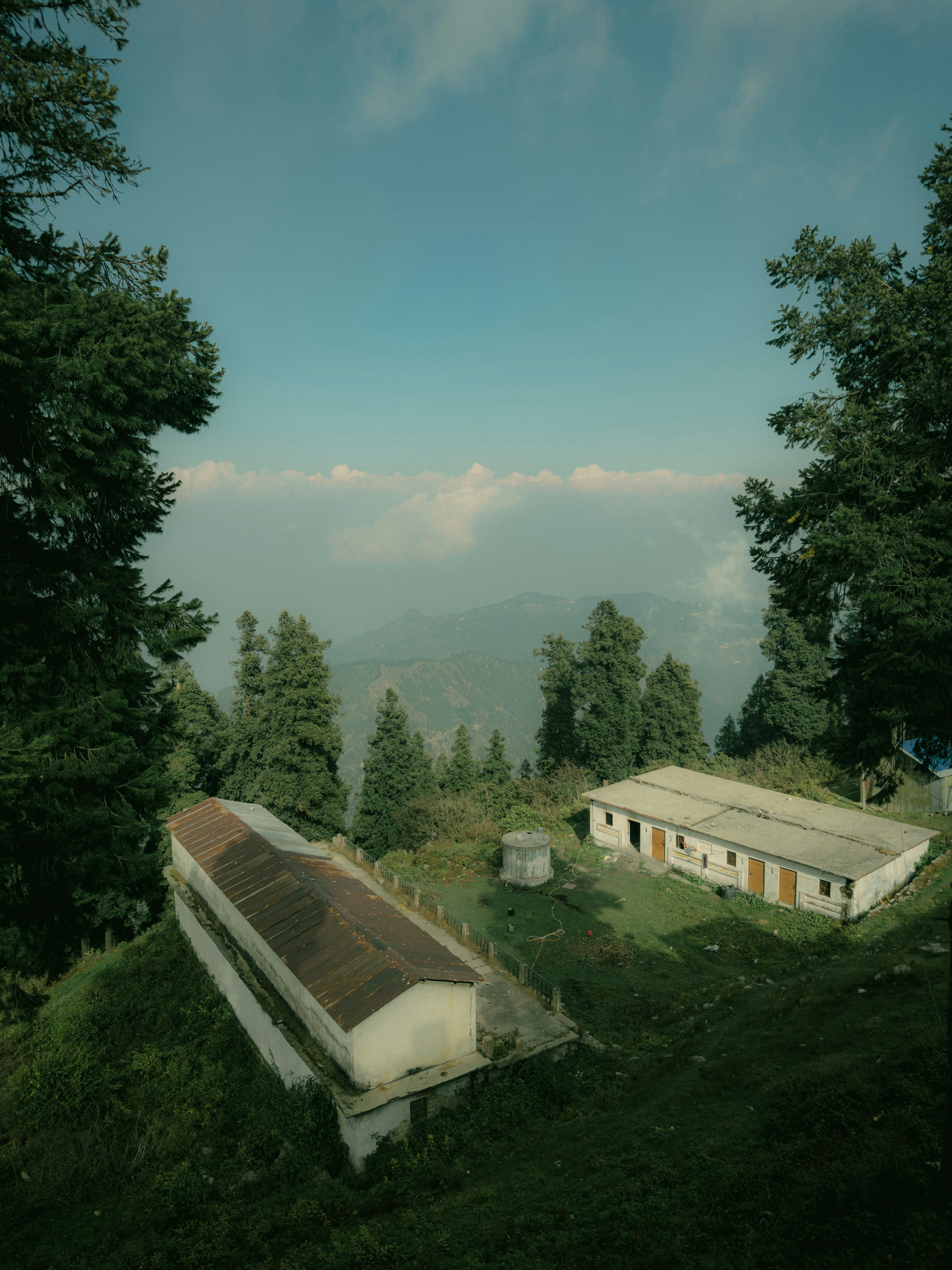 Pine-Fringed Hilltop Quarters Over a Far Alpine Horizon