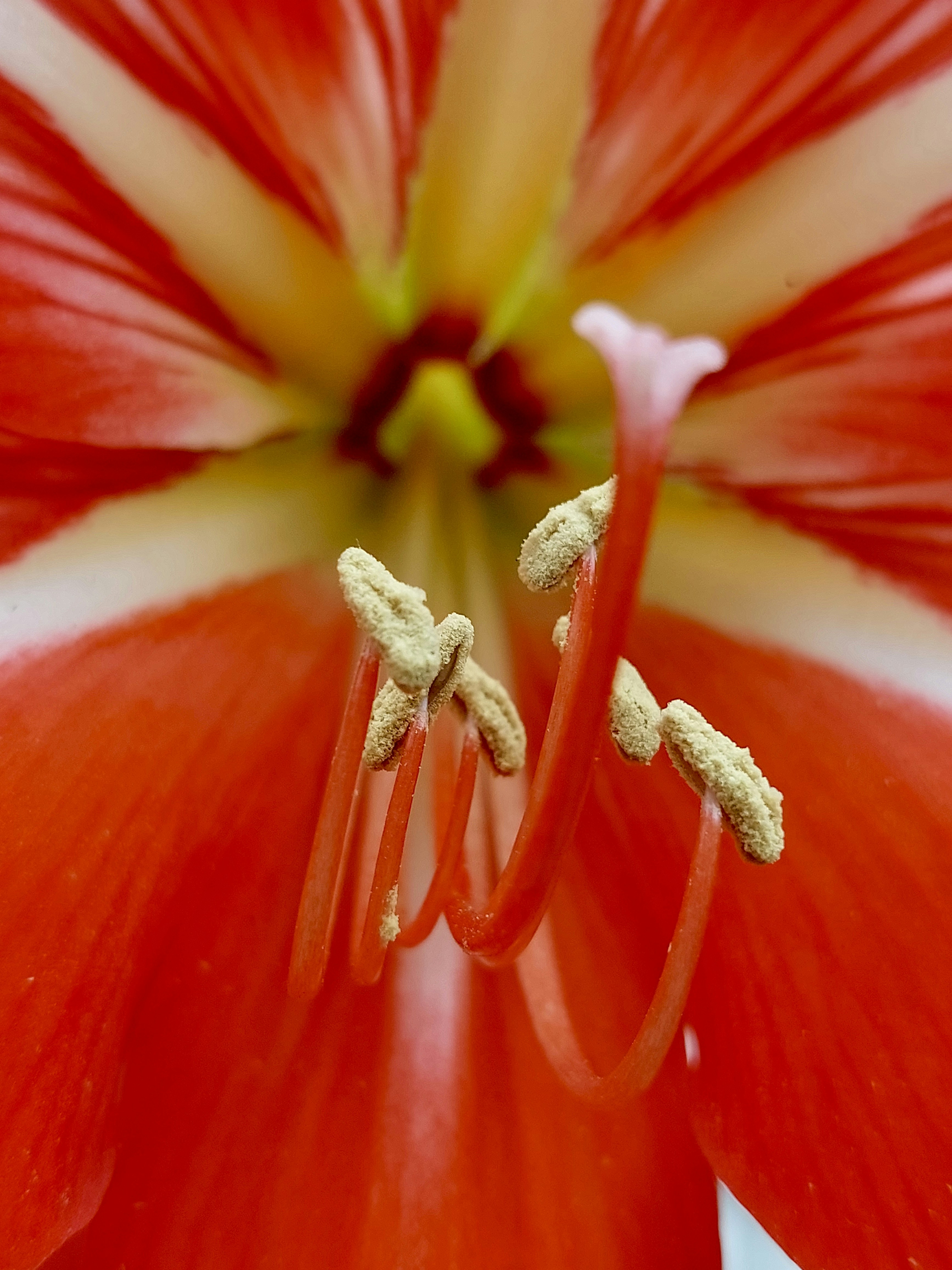 Photo by Mary Borozdina with Samsung Galaxy A52