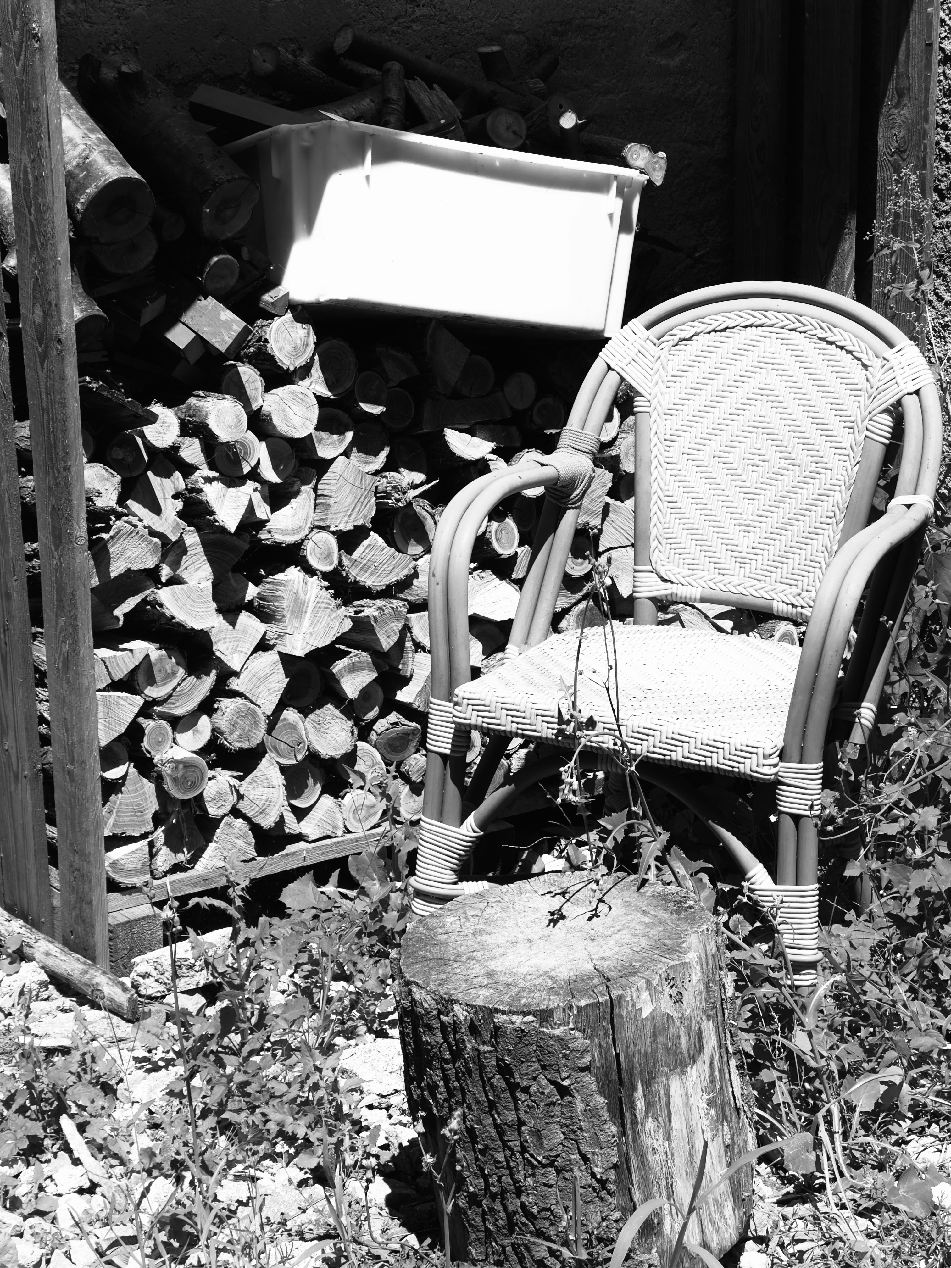 Wicker Chair on a Stump: A Quiet Still Life among Firewood