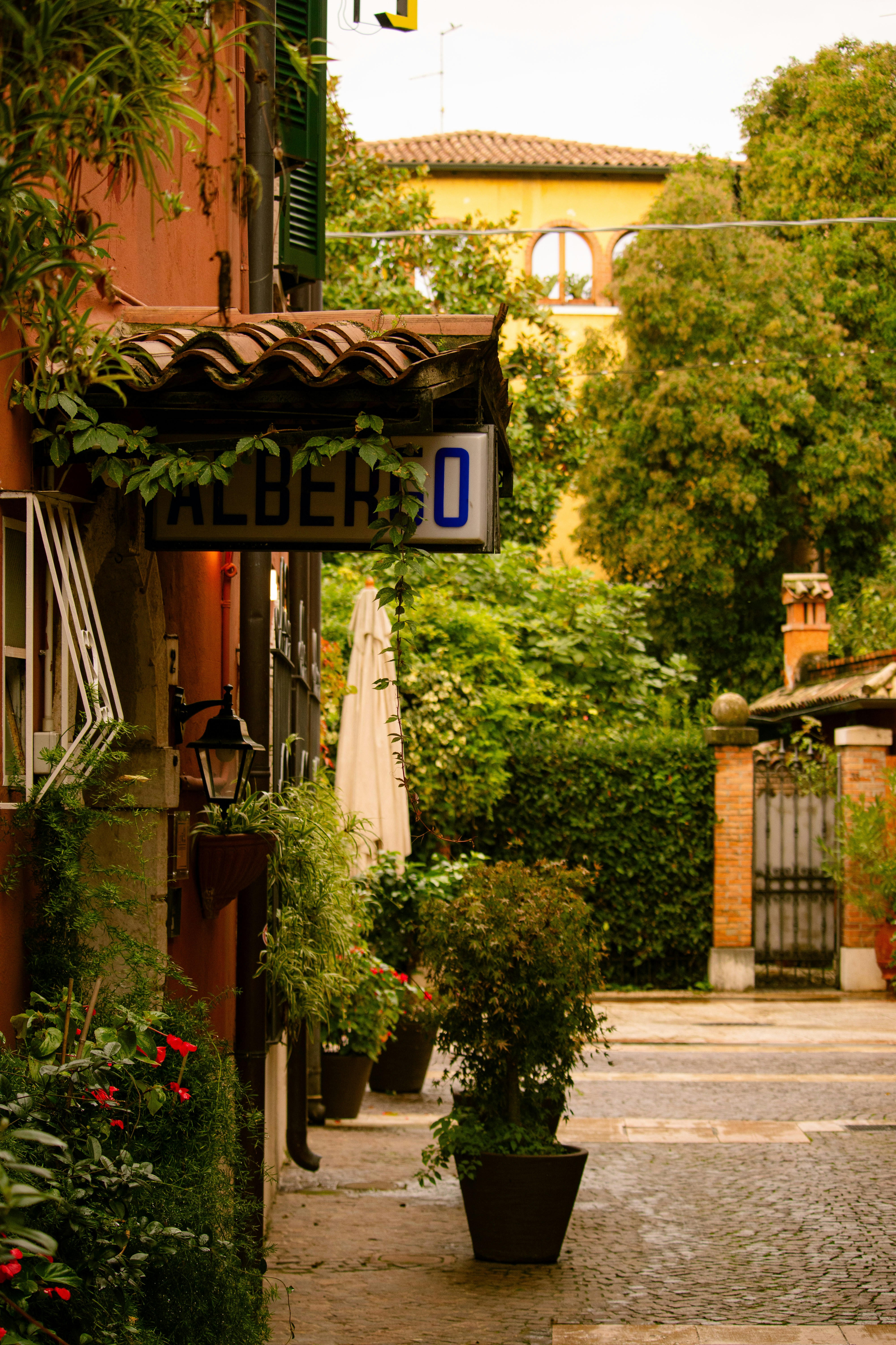Sunlit Albero Sign and Verdant Lane