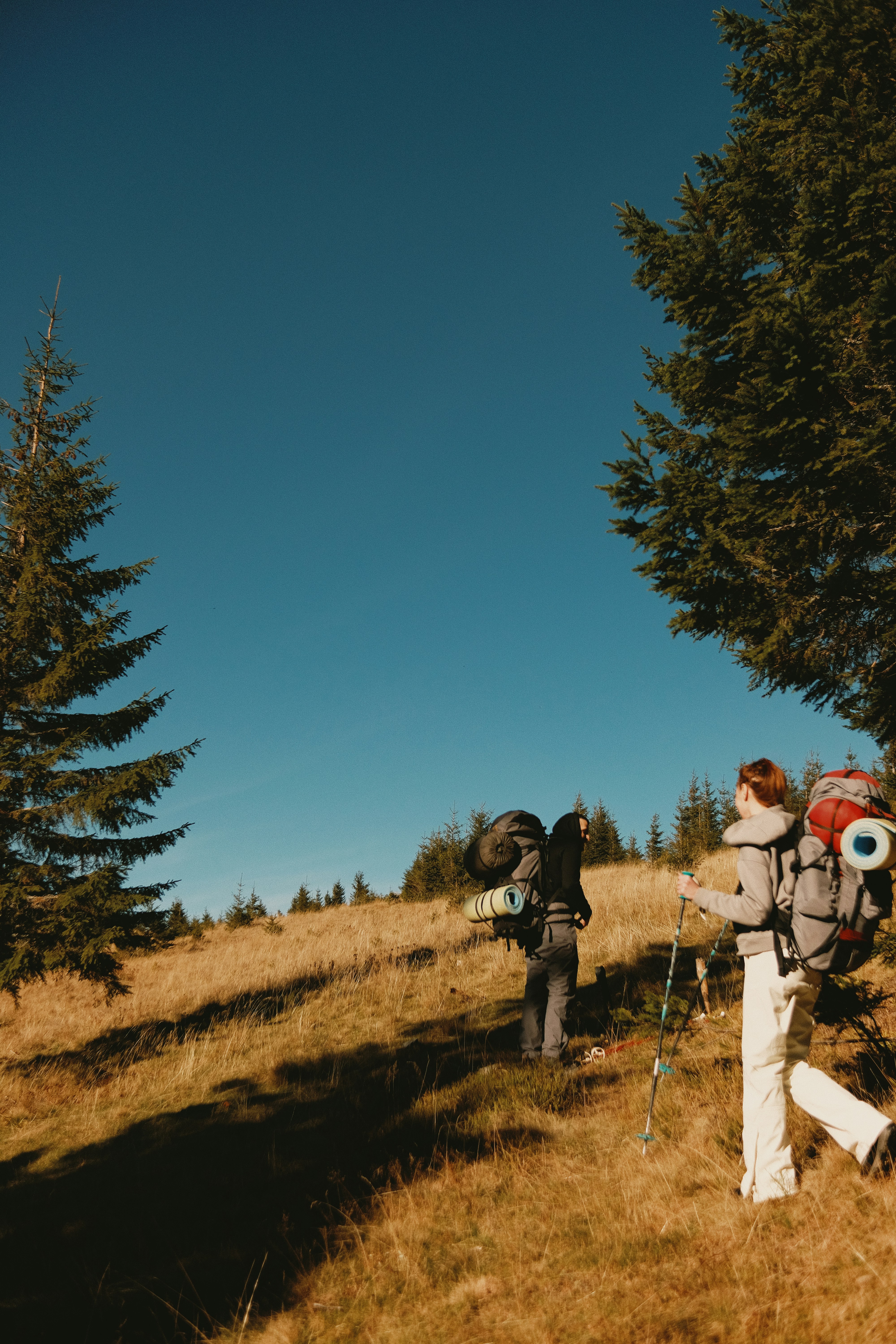 Hikers Ascend a Golden Ridge Under a Clear Alpine Sky
