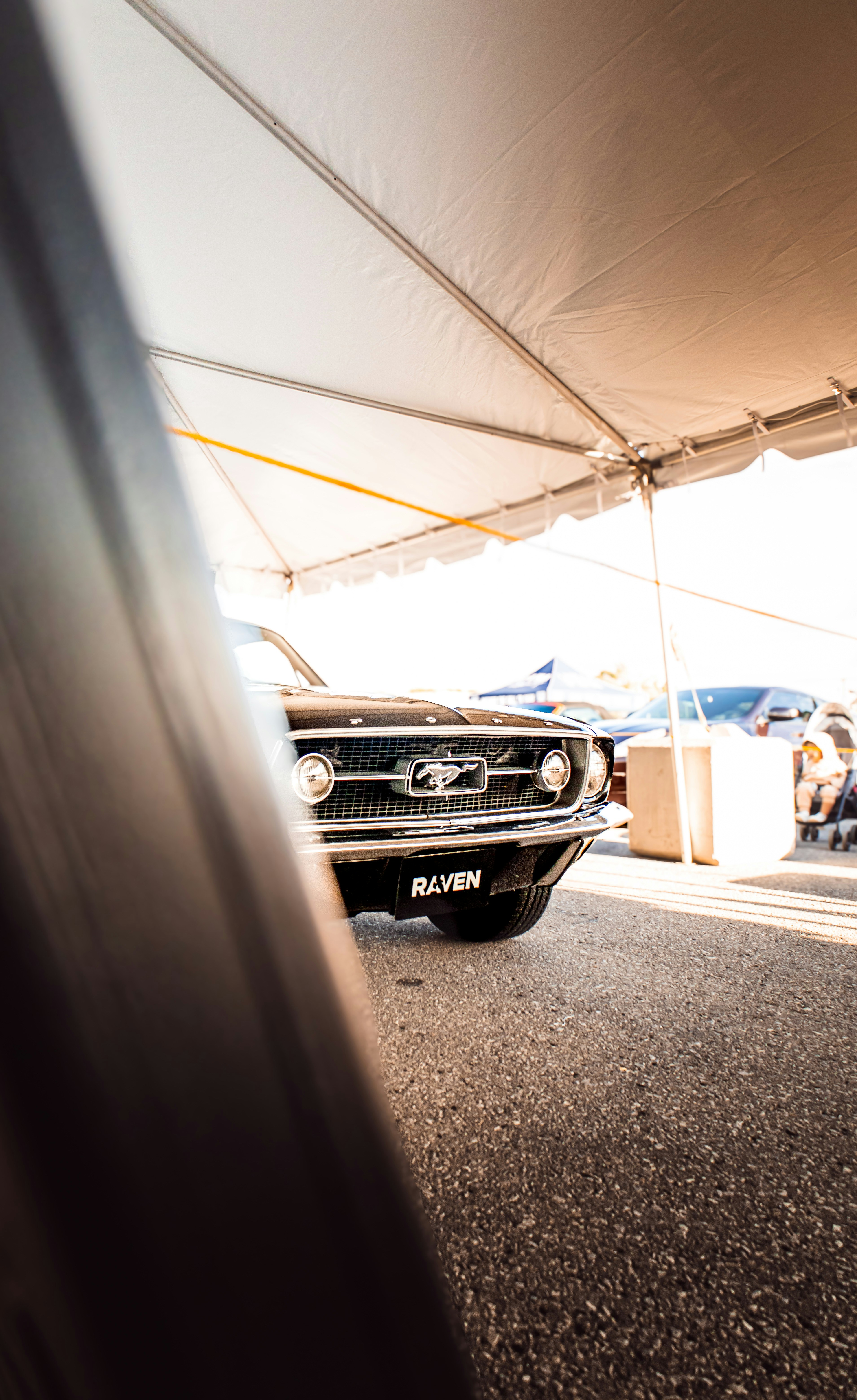 Raven Mustang Under the Canopy: A Front-Grille Portrait