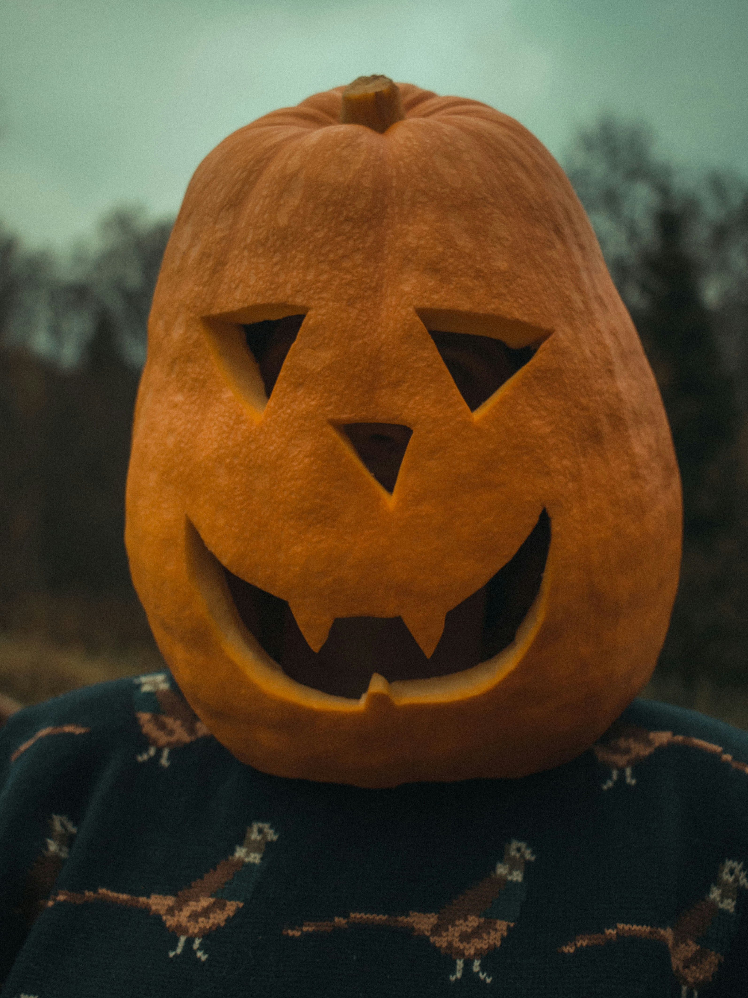 Green-Tinted Jack-o'-Lantern Portrait on a Cozy Sweater