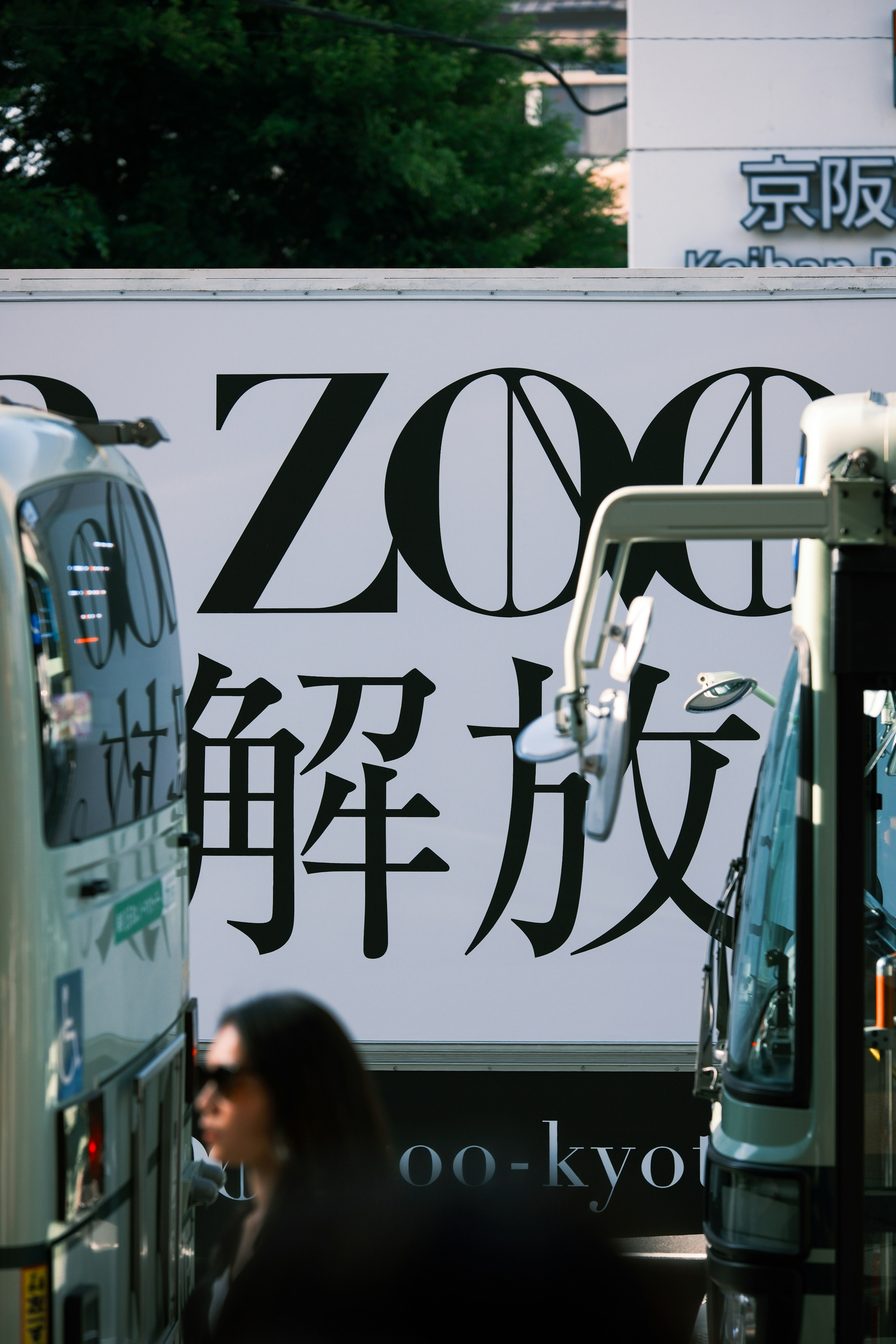 A group of buses parked next to each other photo – Free Woman Image on ...