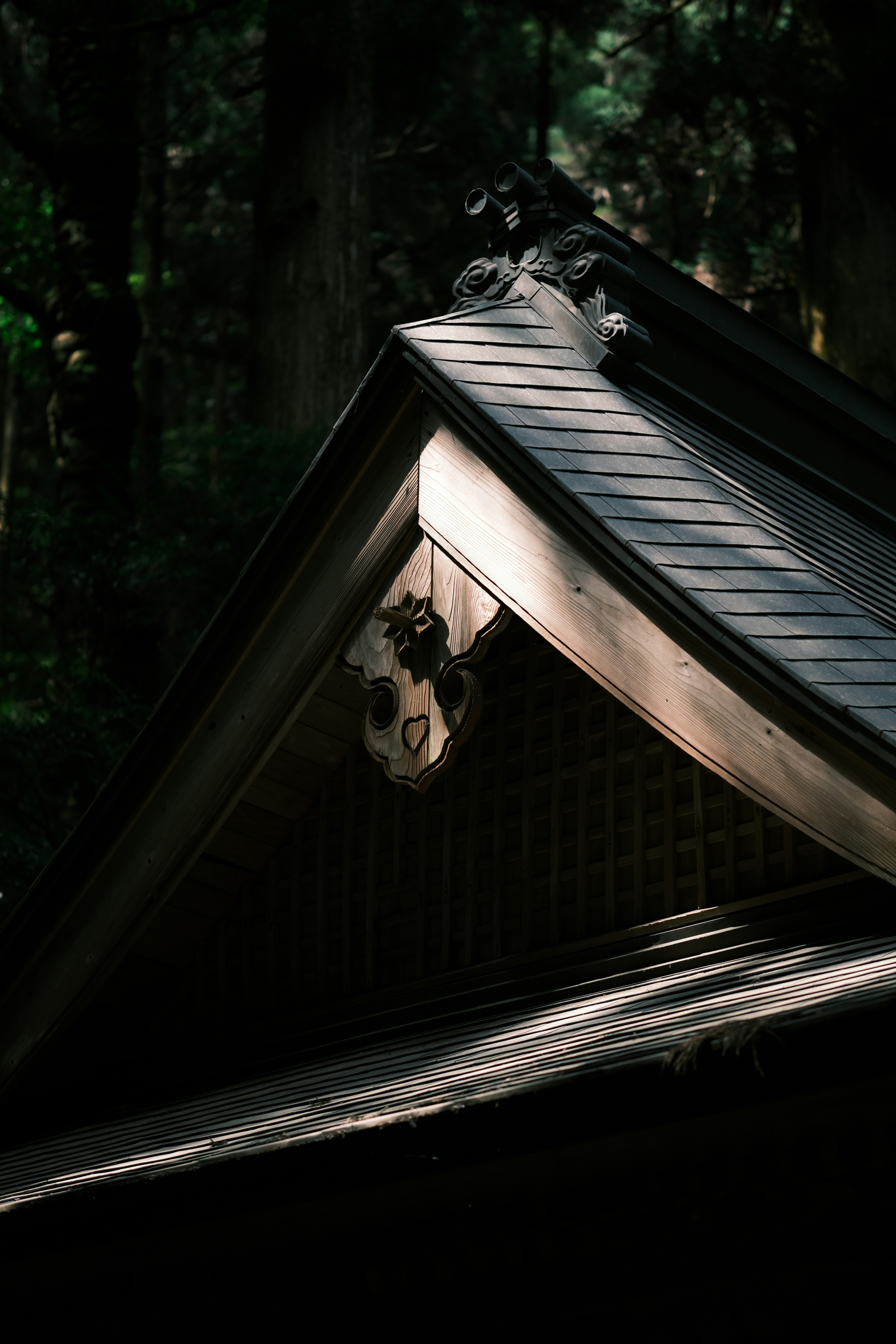 Crest in the Shadows: Shrine Roof Framed by Pines