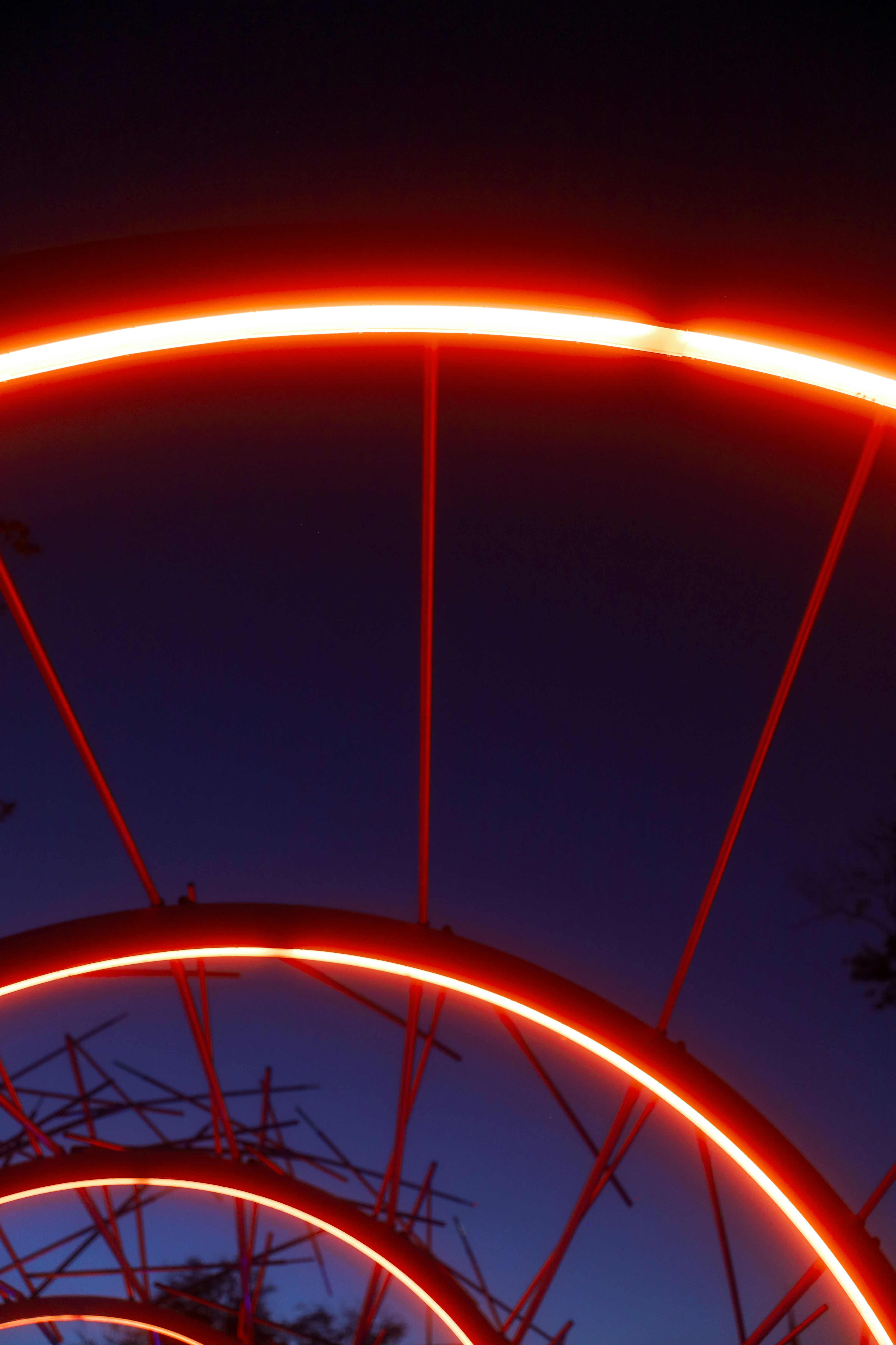 Photo by Brandon Griggs with Canon EOS RP