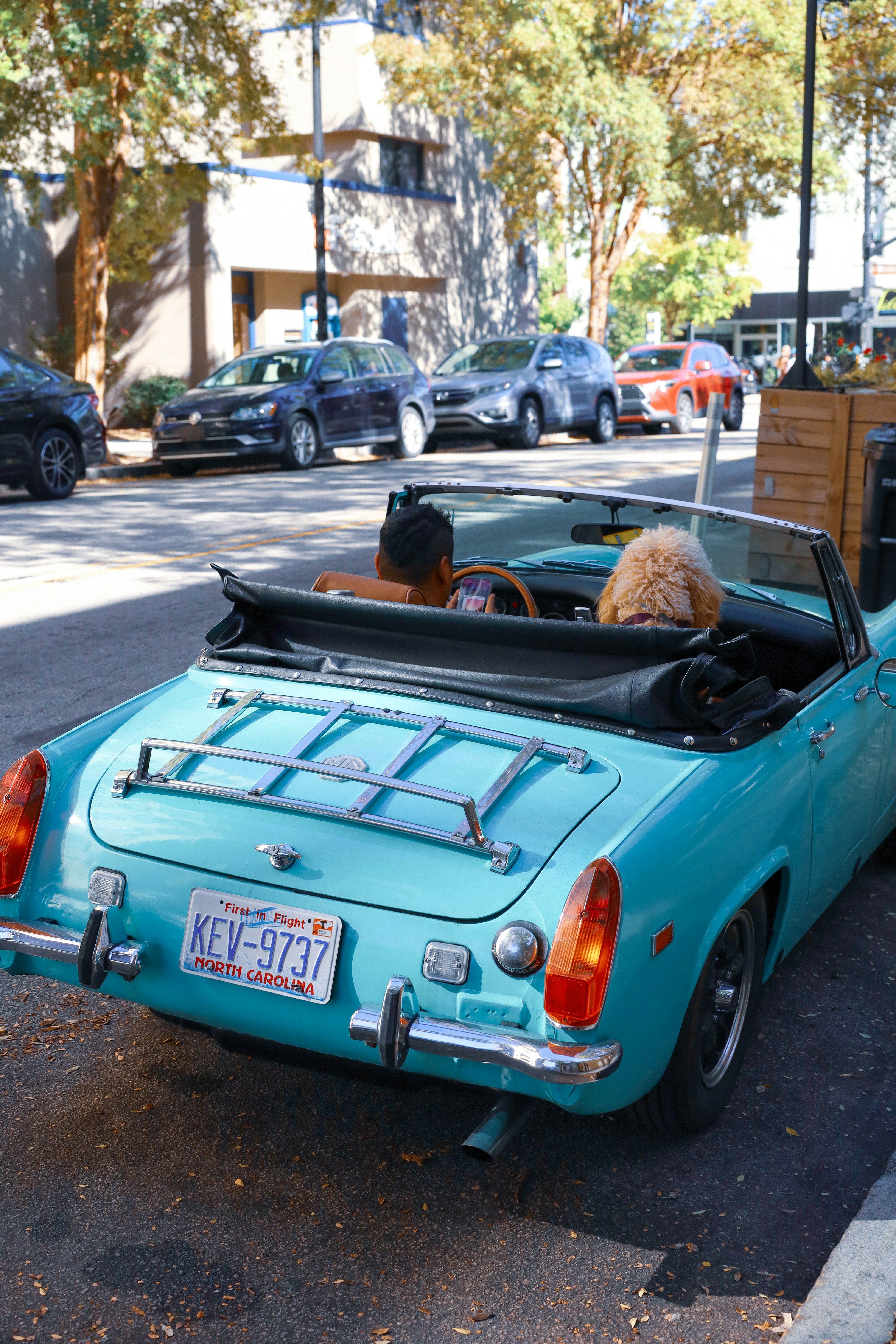 Sunlit Convertible and Friends: A Summer Ride