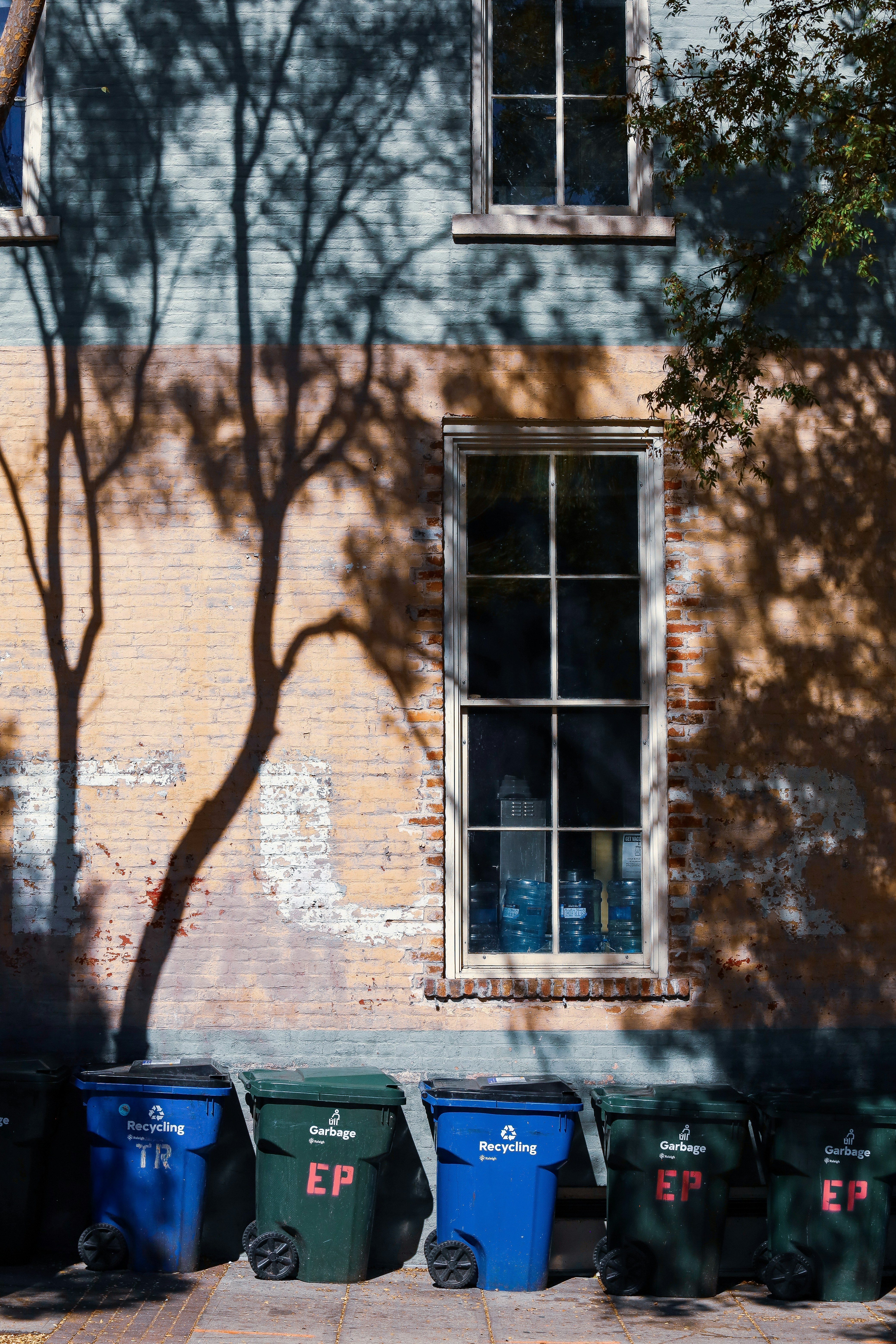 Photo by Brandon Griggs with Canon EOS RP