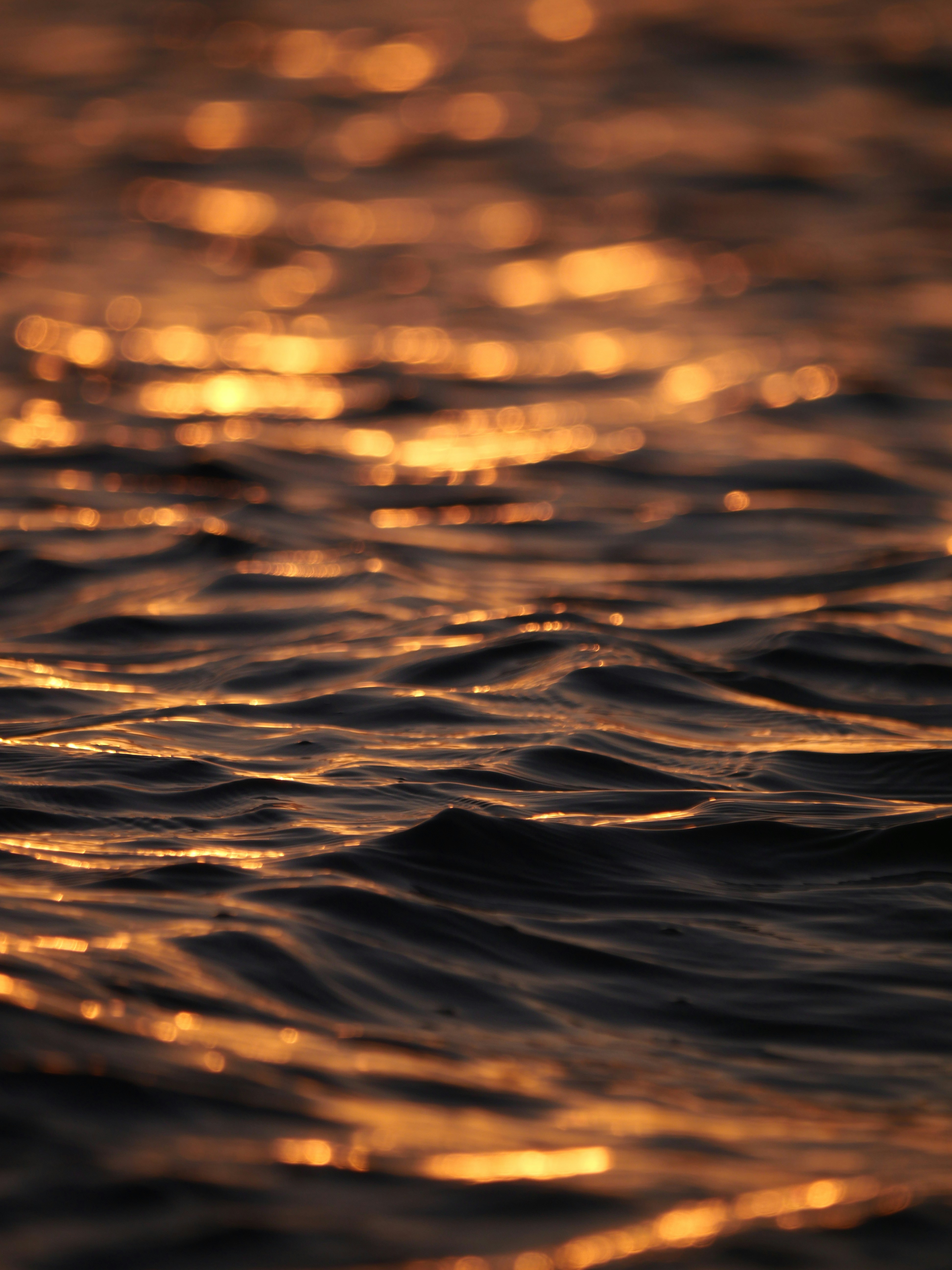 Photo by Rafael Garcin with Panasonic Lumix G91