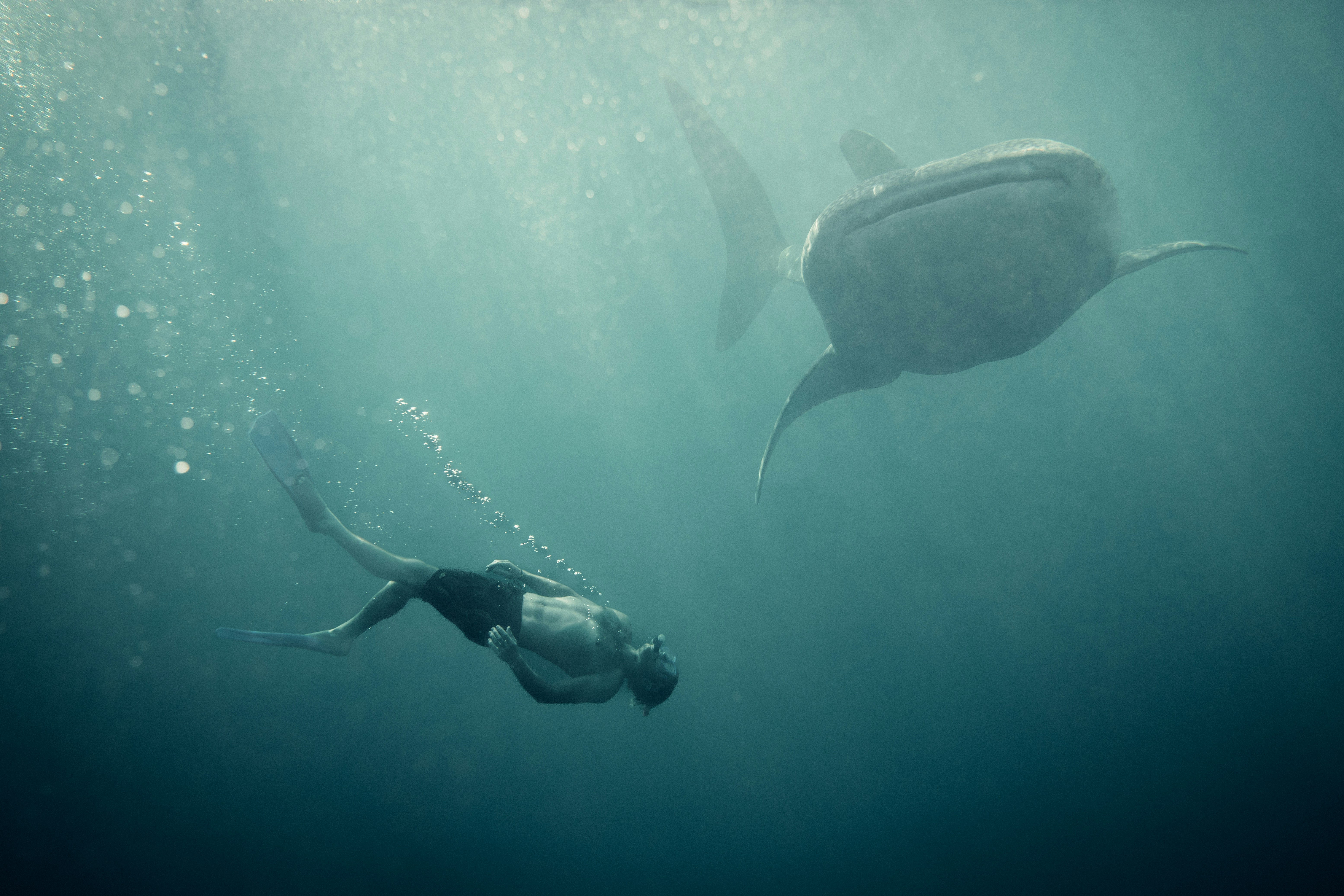 Photo by Touann Gatouillat Vergos with Sony Alpha 7 IV