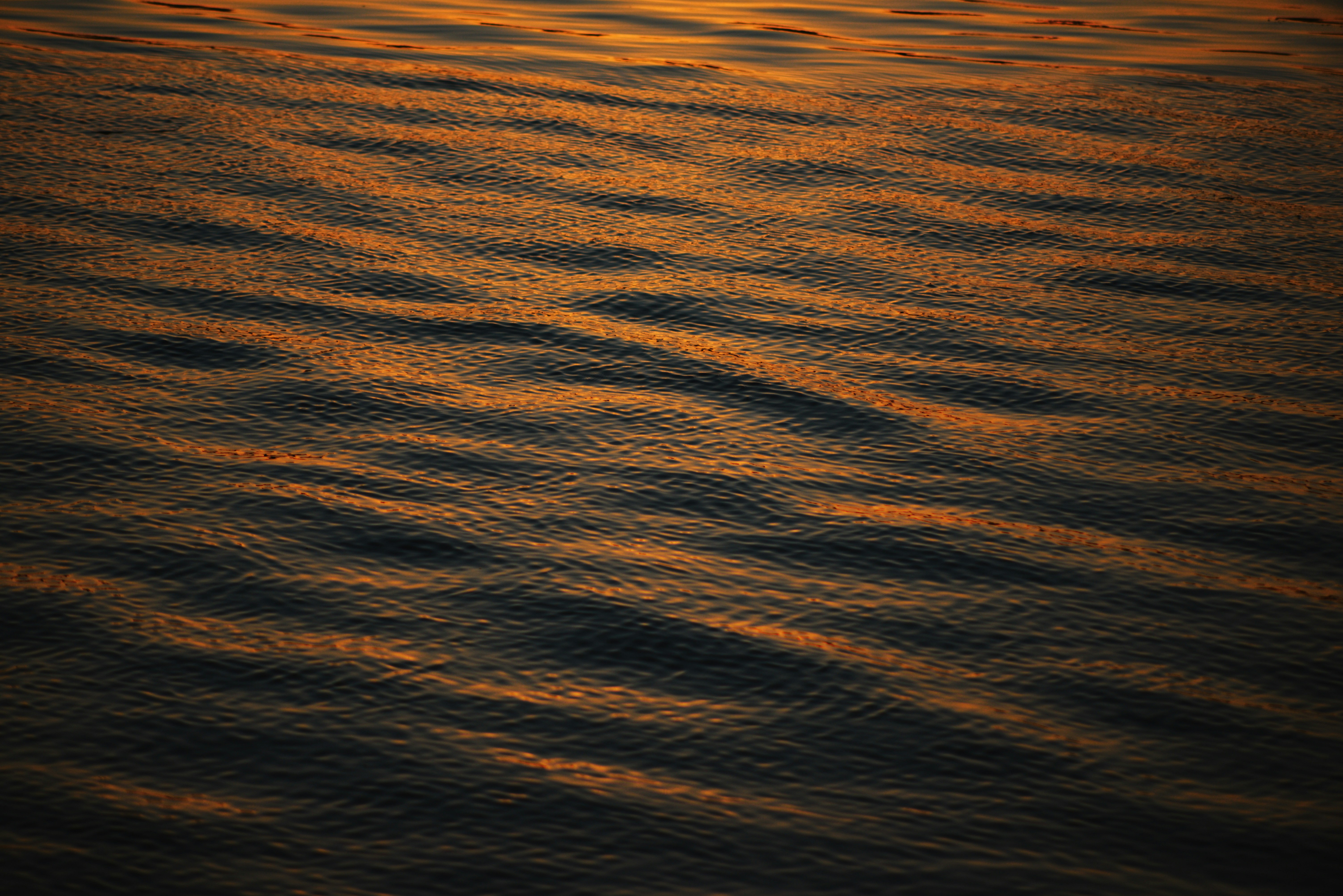 A large body of water with a sunset in the background photo – Free Sun ...