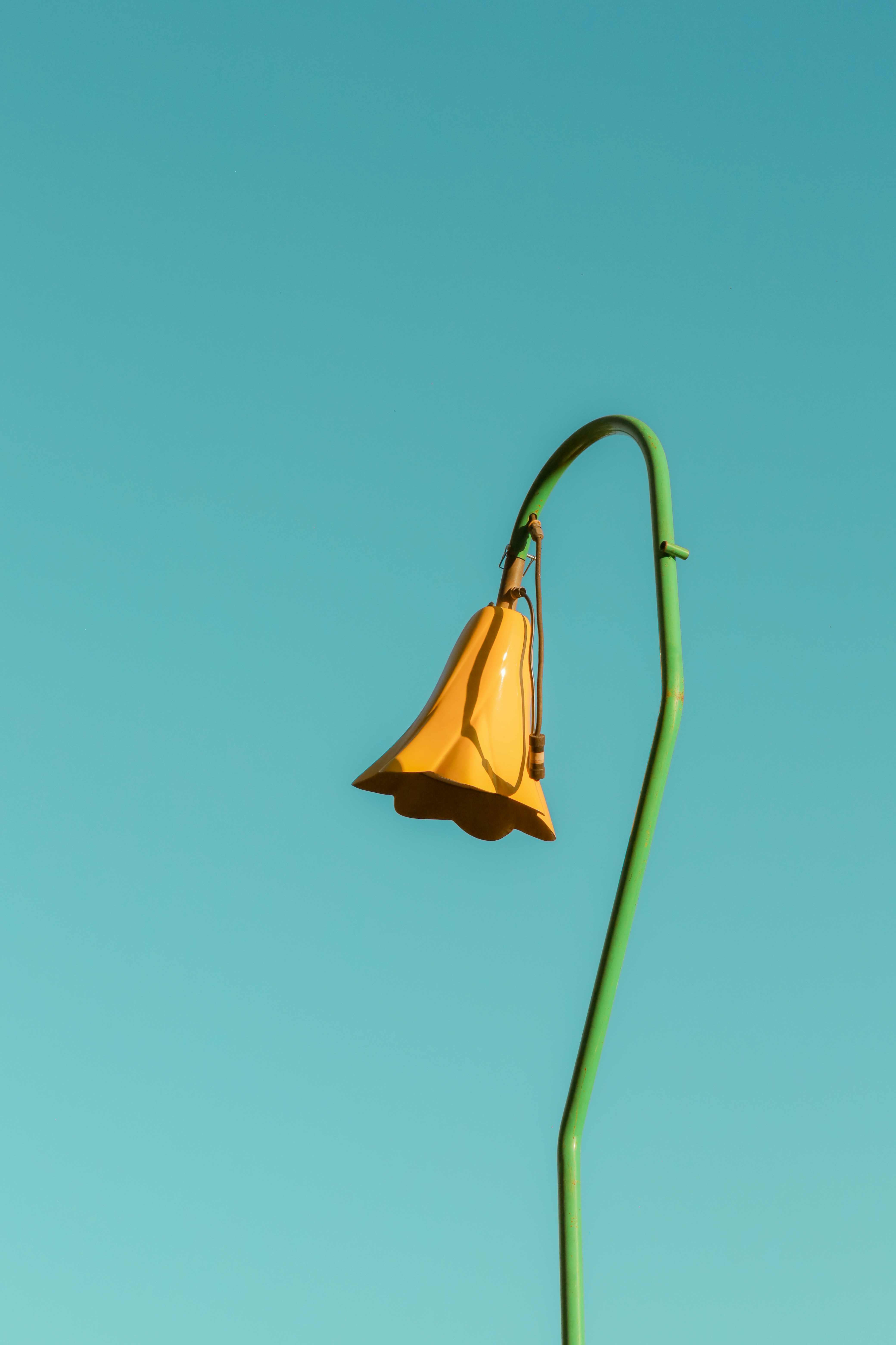 Teal Sky Bell: A Yellow Lamp Clinging to a Sinuous Green Stem
