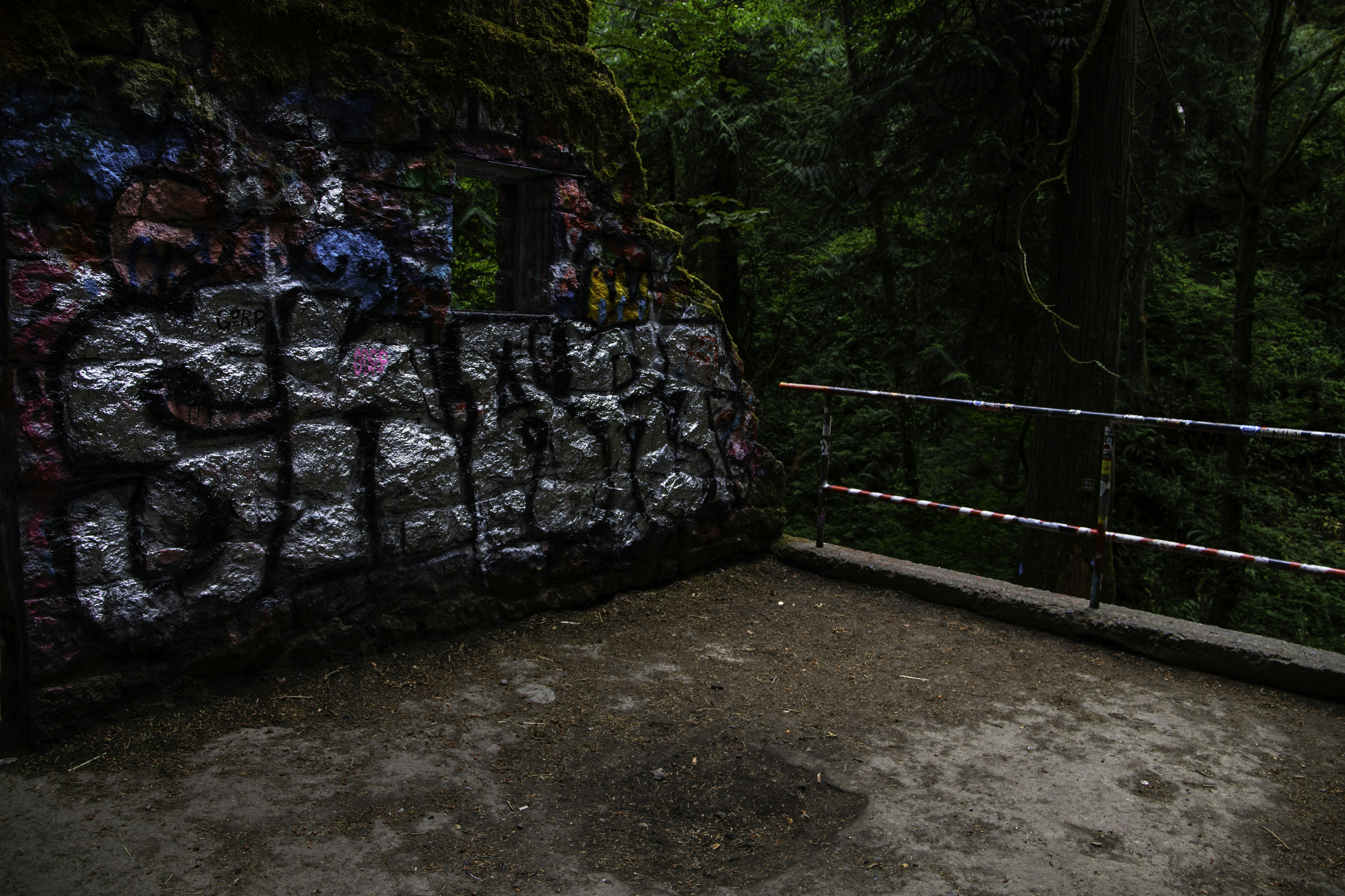 Nocturnal Overlook: Graffiti Wall by a Mossy Rail at the Forest Edge