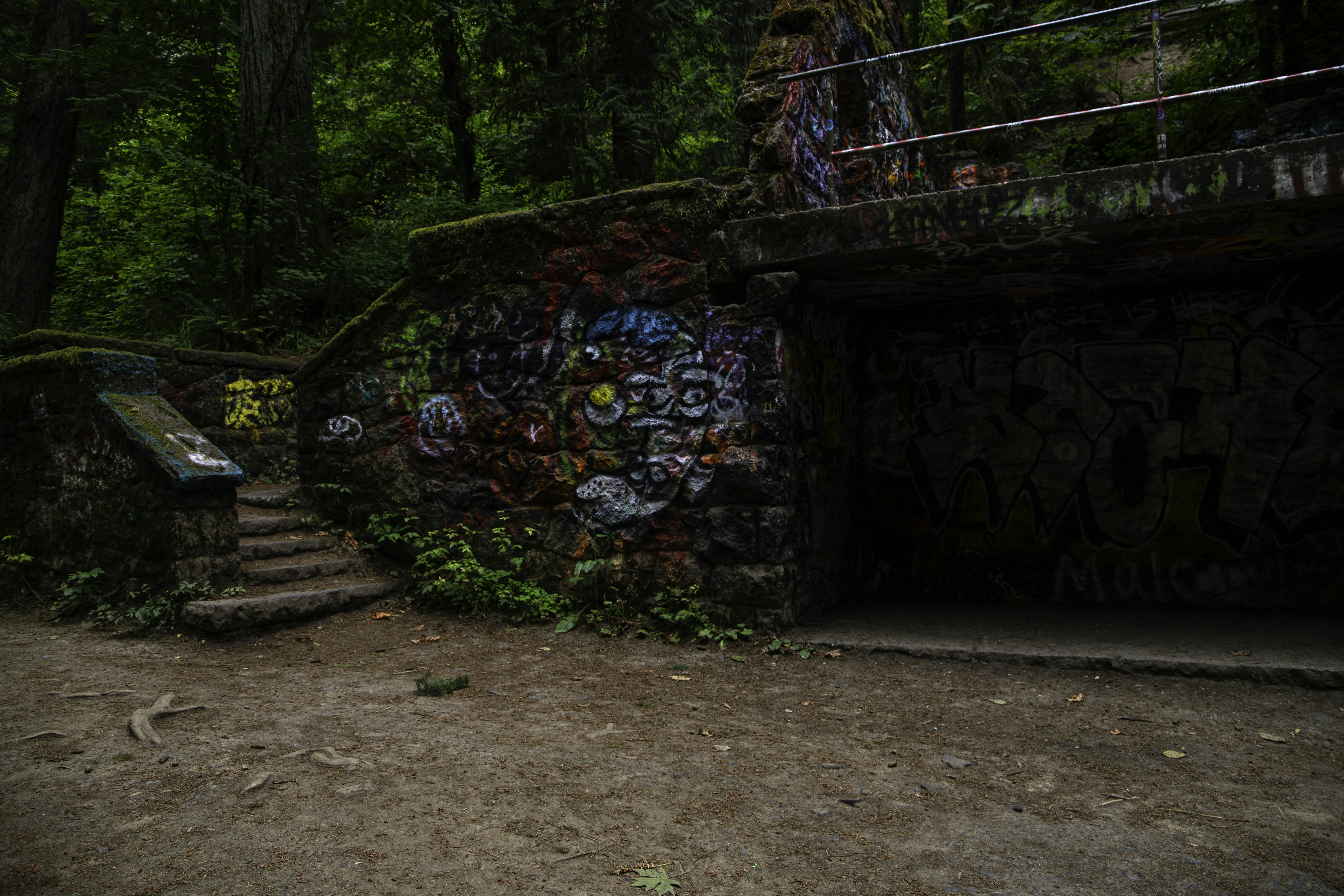 Moss-Covered Graffiti at the Threshold of a Shadowed Tunnel