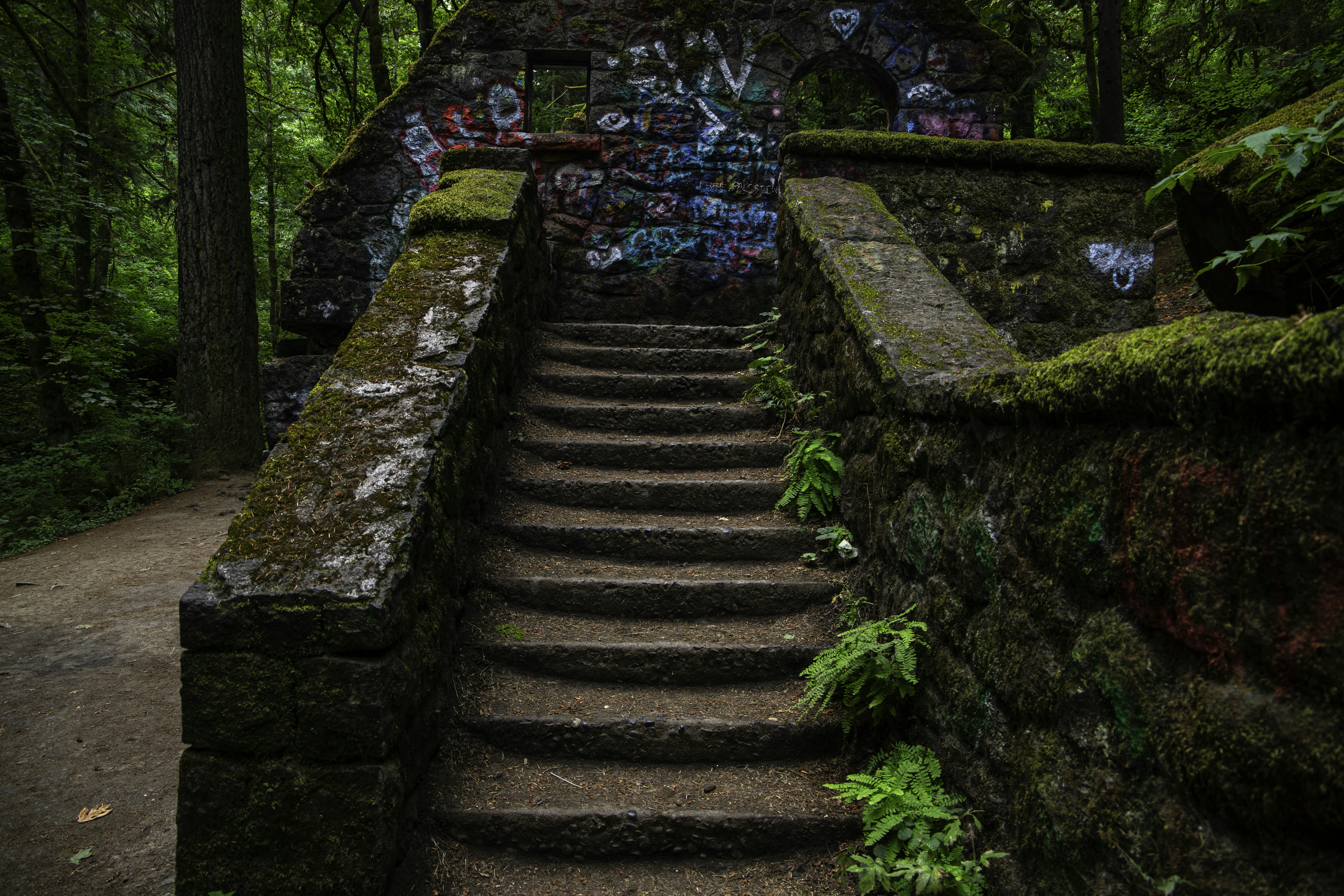A set of stairs with graffiti painted on them photo – Free Witch's ...