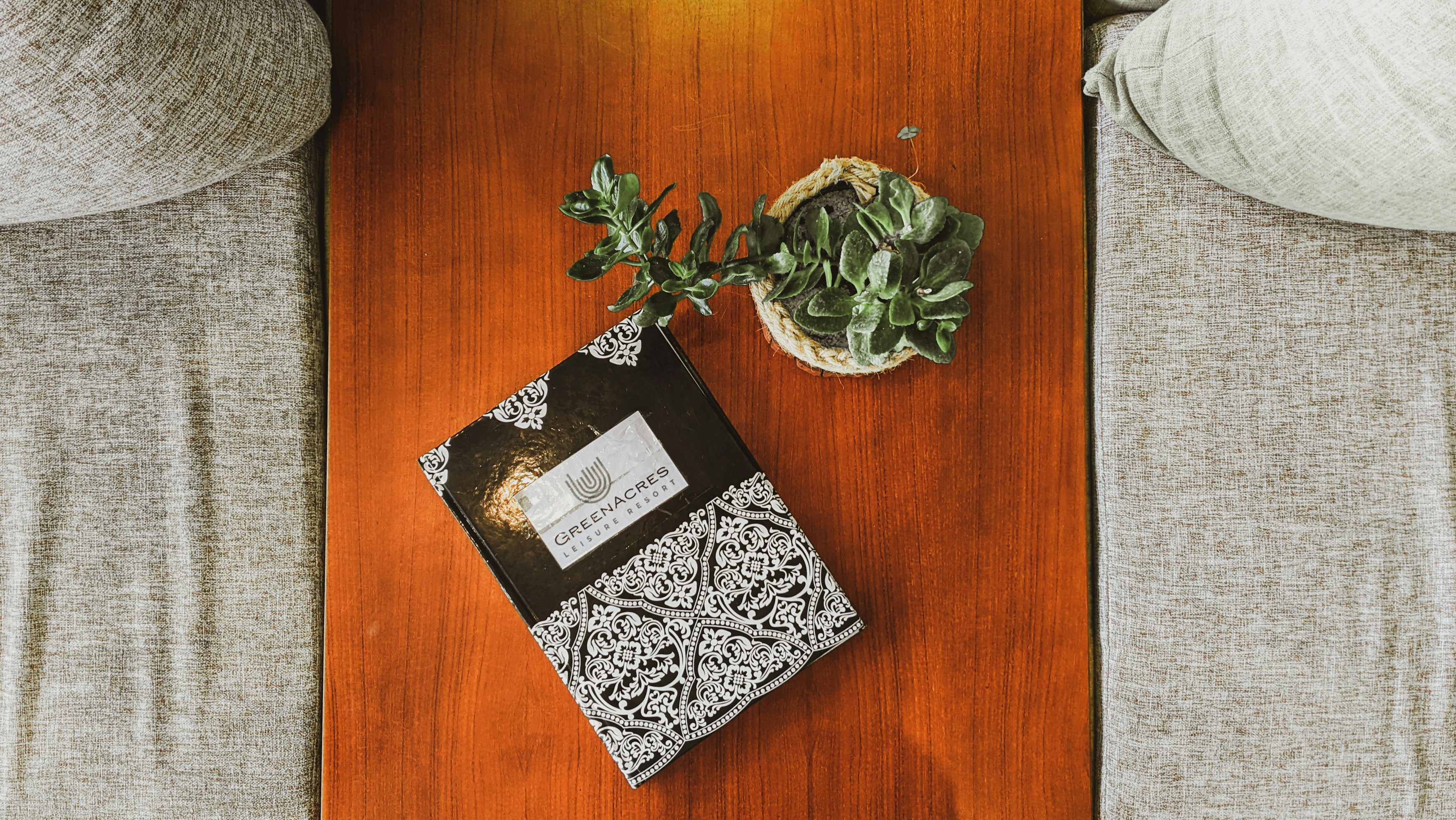 A coffee table with a present on top of it photo – Free Sri lanka Image ...