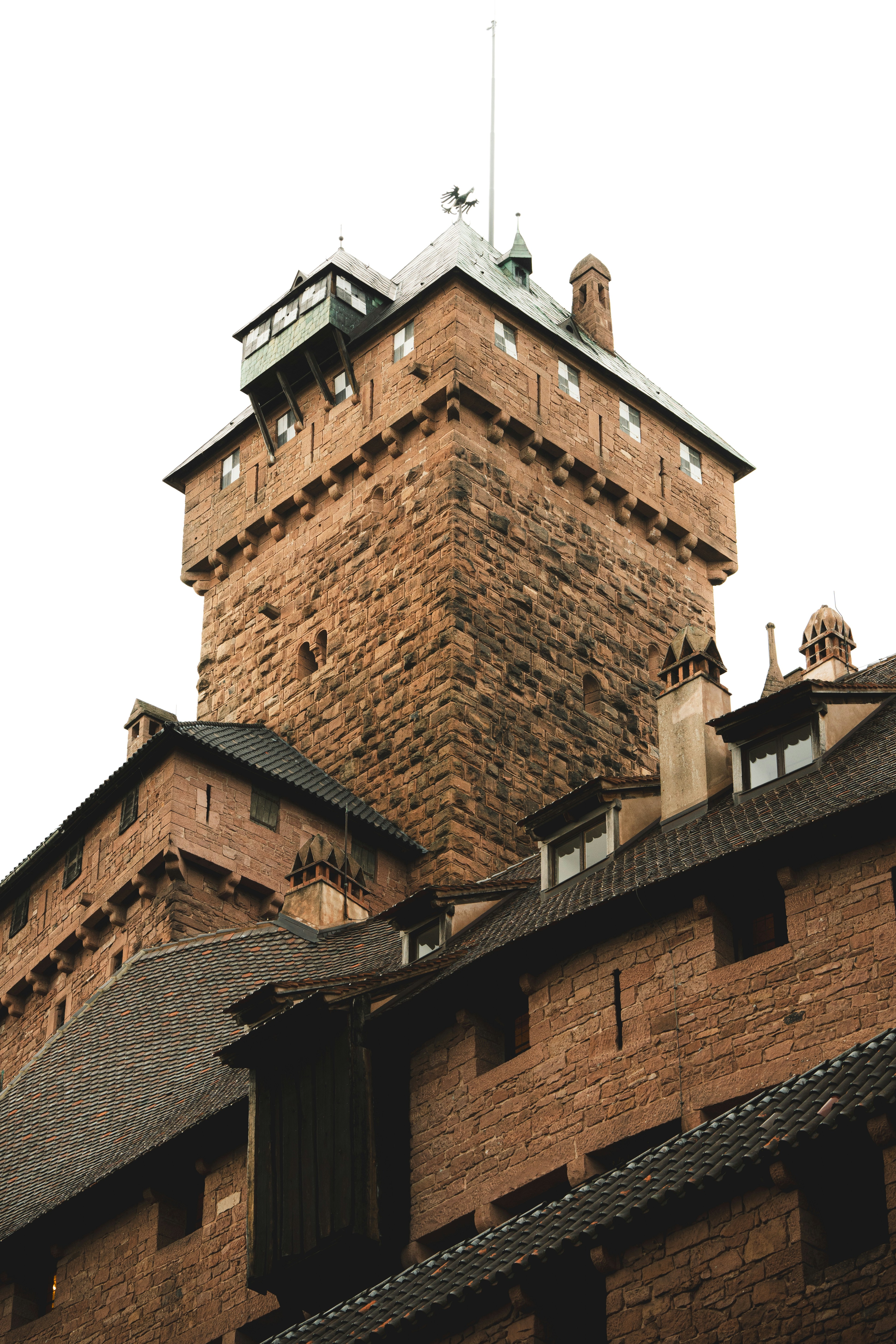 Stone Sentinel Over a Tiled Roofscape