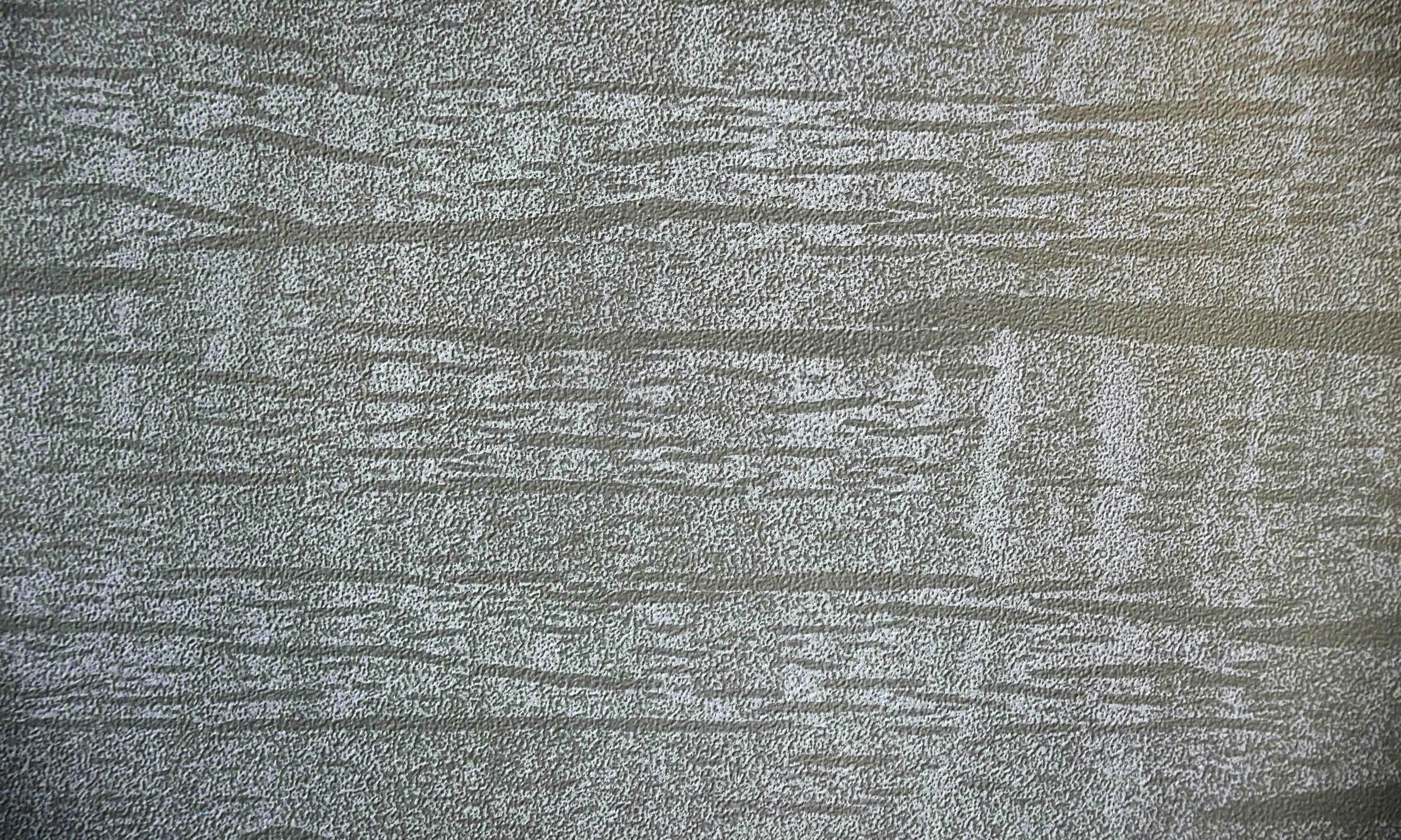 Sample photo from Panasonic Lumix TZ202