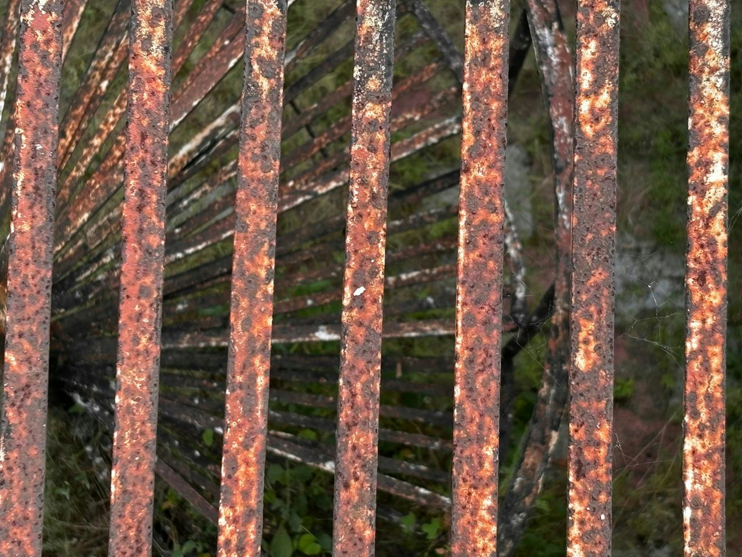 A close up of rusted metal bars with trees in the background photo ...