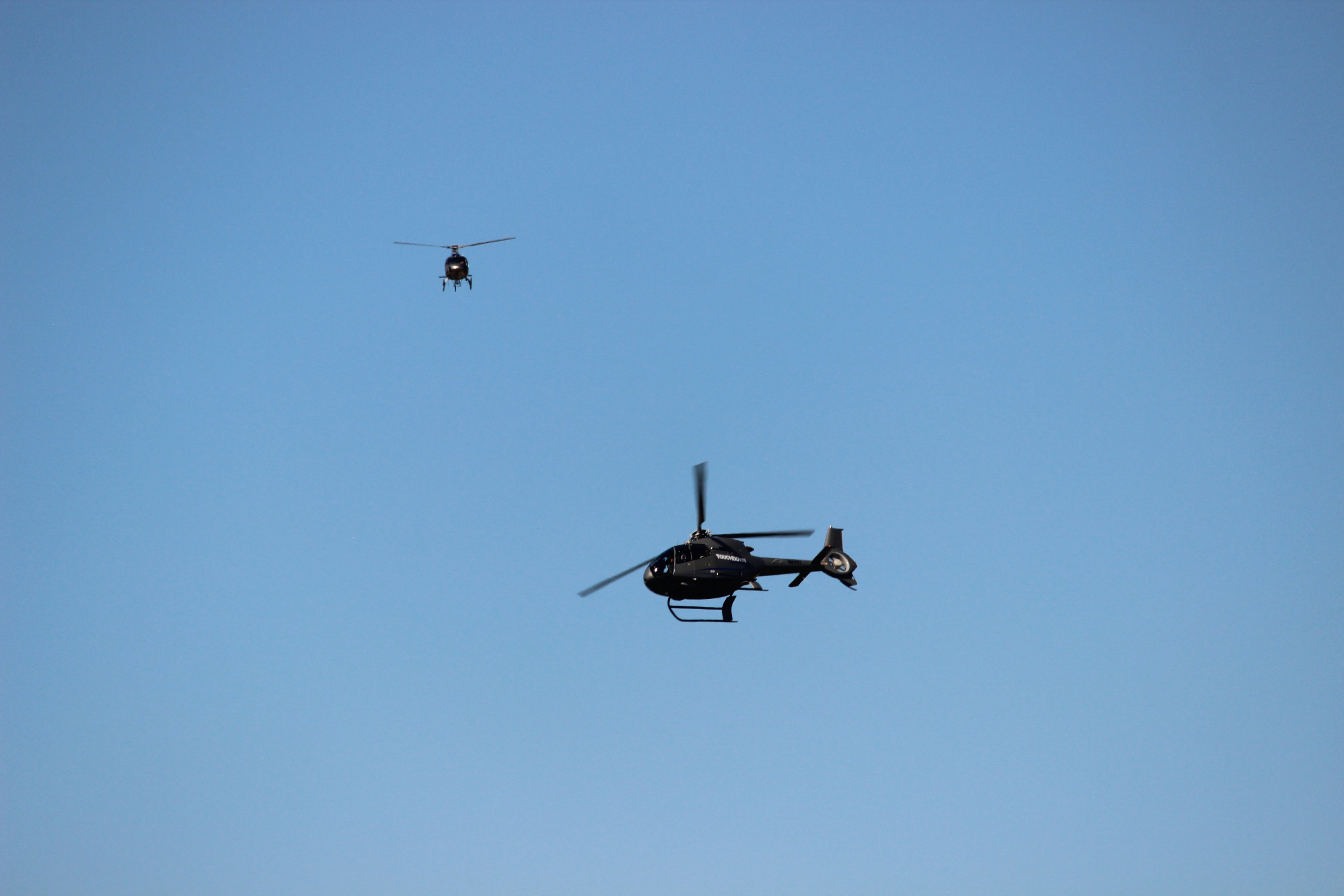 A helicopter and a helicopter flying in the sky photo – Free Animal ...