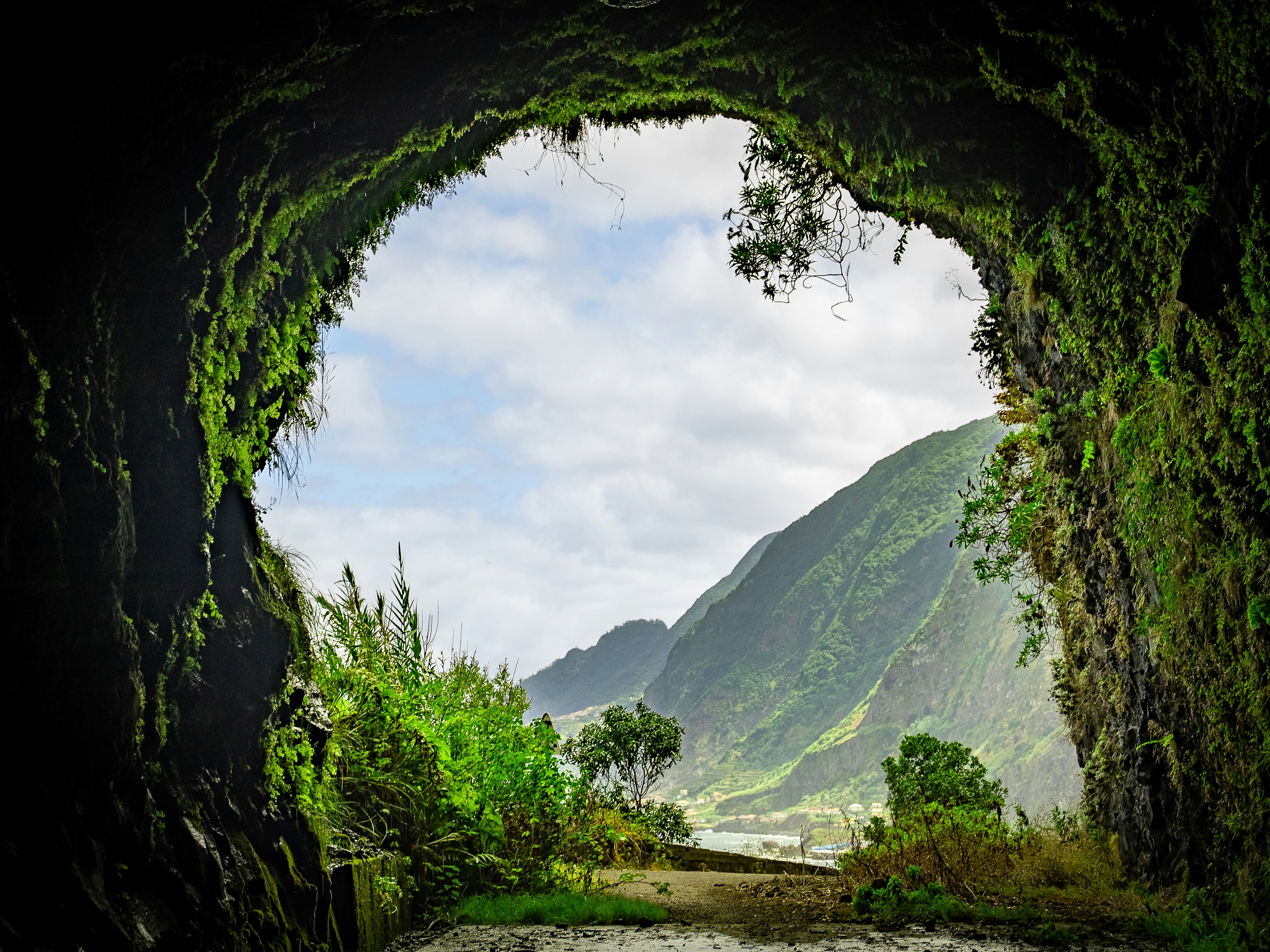 Verdant Portal: A Cave Frame Opening onto a Green Valley