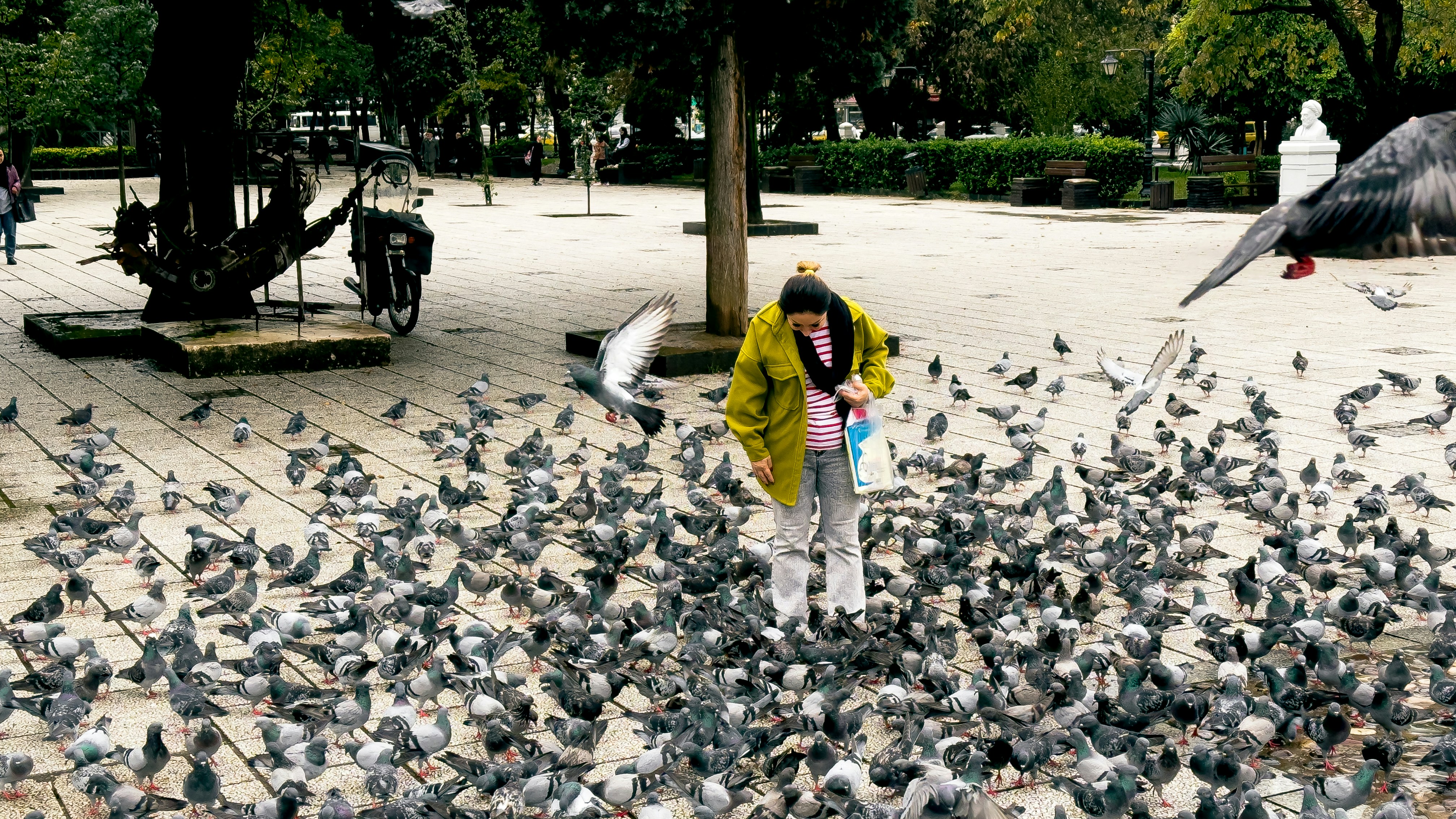 Lone Visitor in a Yellow Coat Surrounded by a Pigeon Parade
