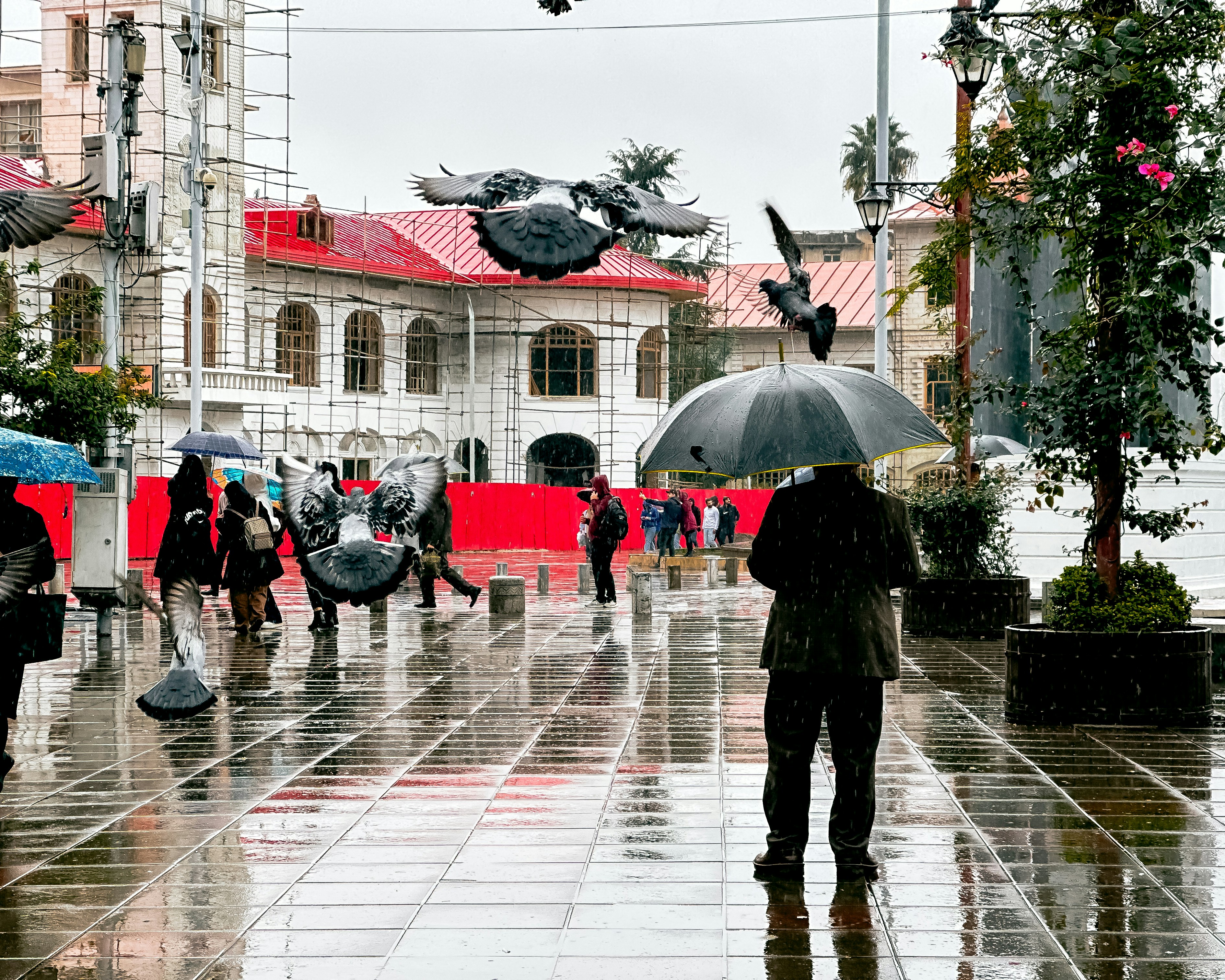 Photo by MAHDI HAJIZADE with Apple iPhone 14 Pro