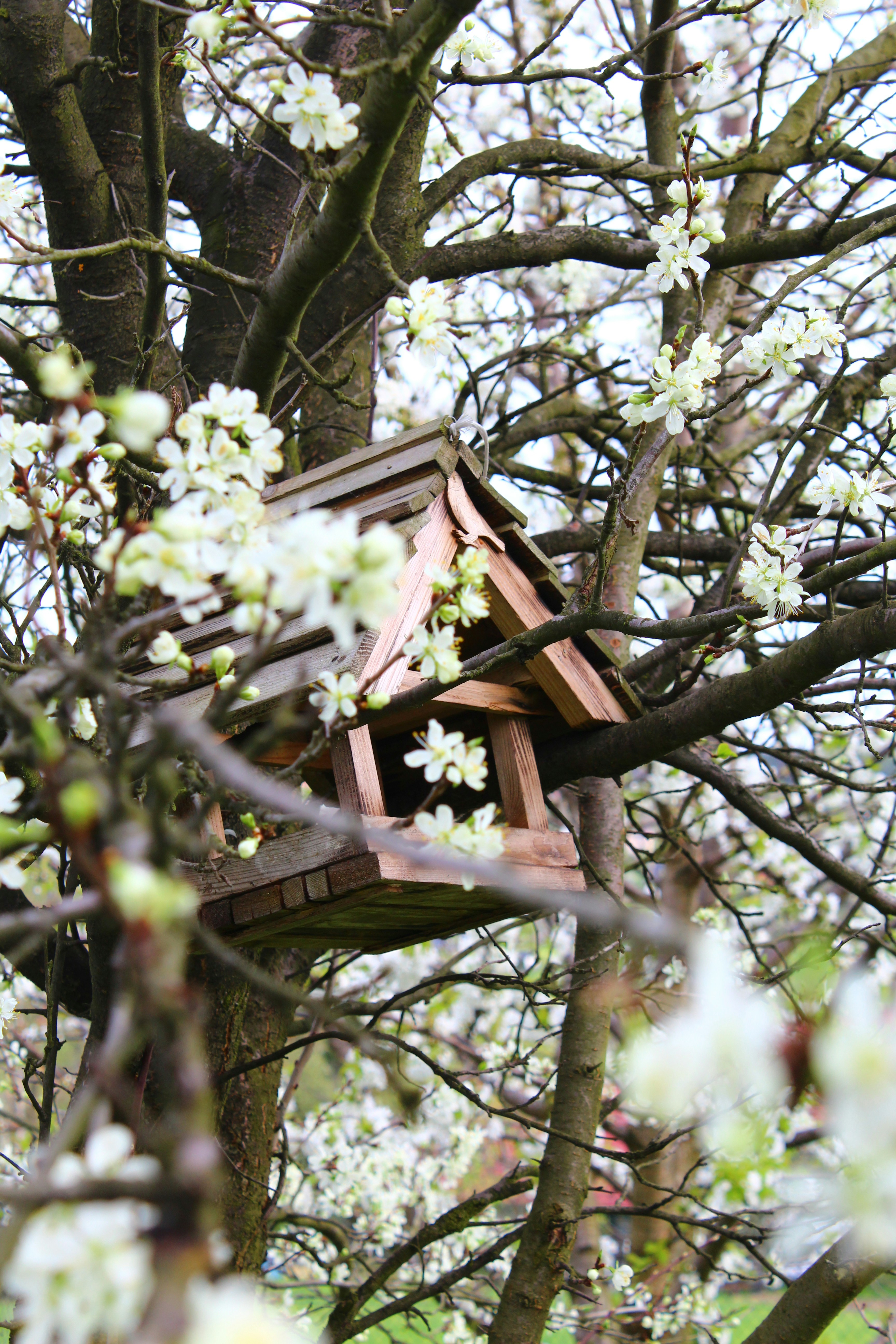 Photo by Ali Alauda with Canon EOS 1200D